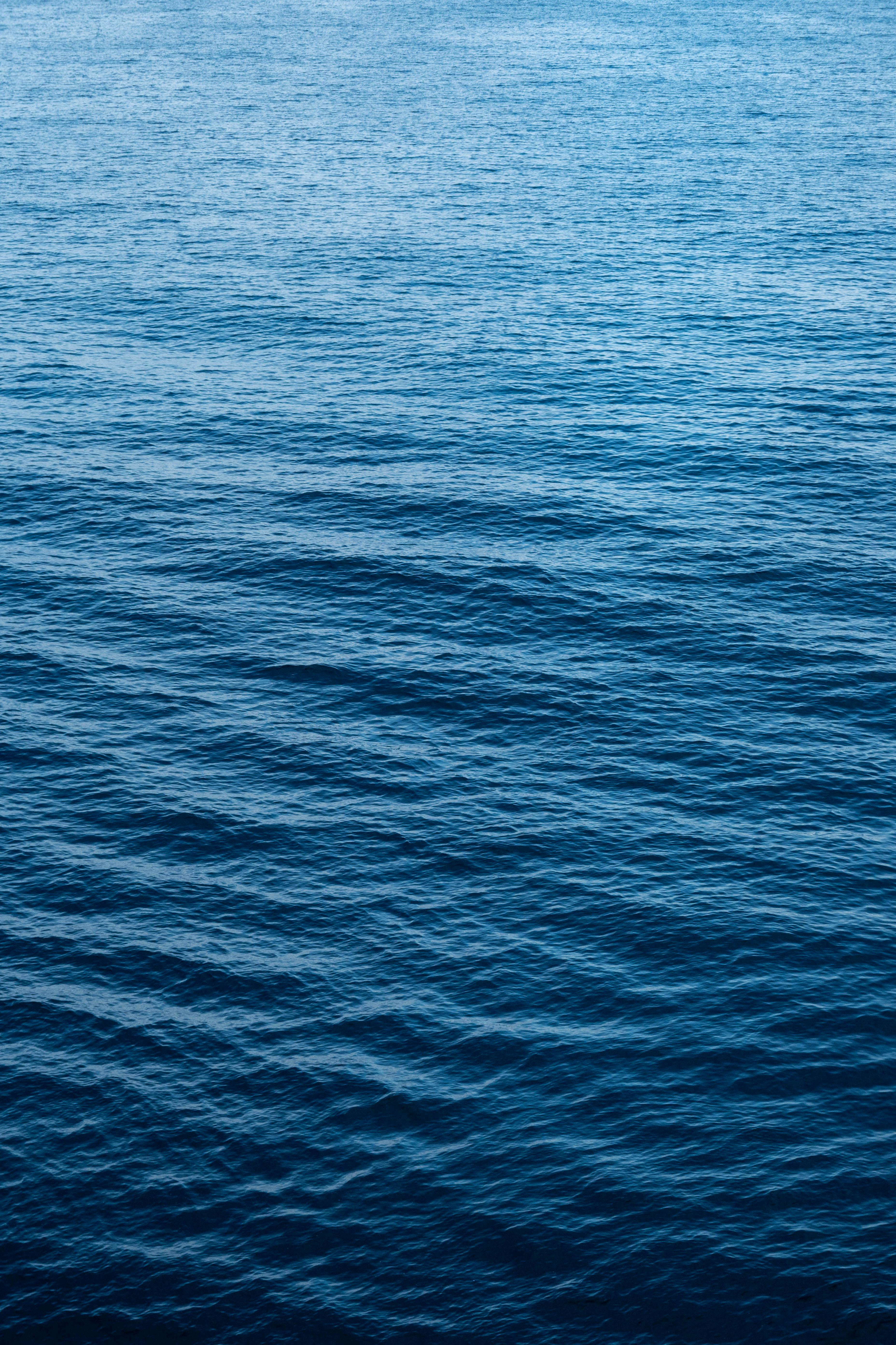 Fundal Aqua Photos, Download The BEST Free Fundal Aqua Stock Photos ...