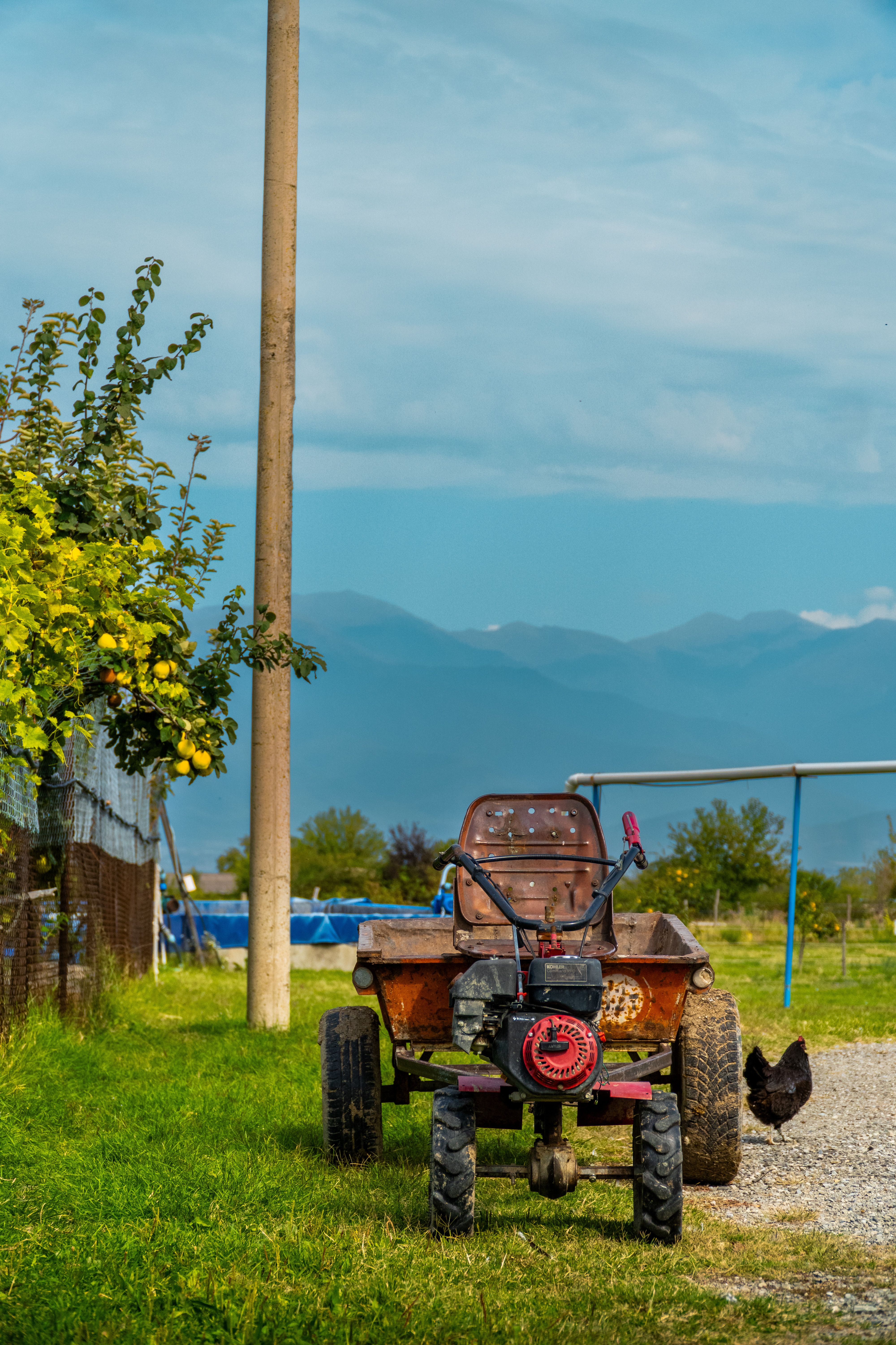 Rustic Farm Life with Tractor and Chicken · Free Stock Photo