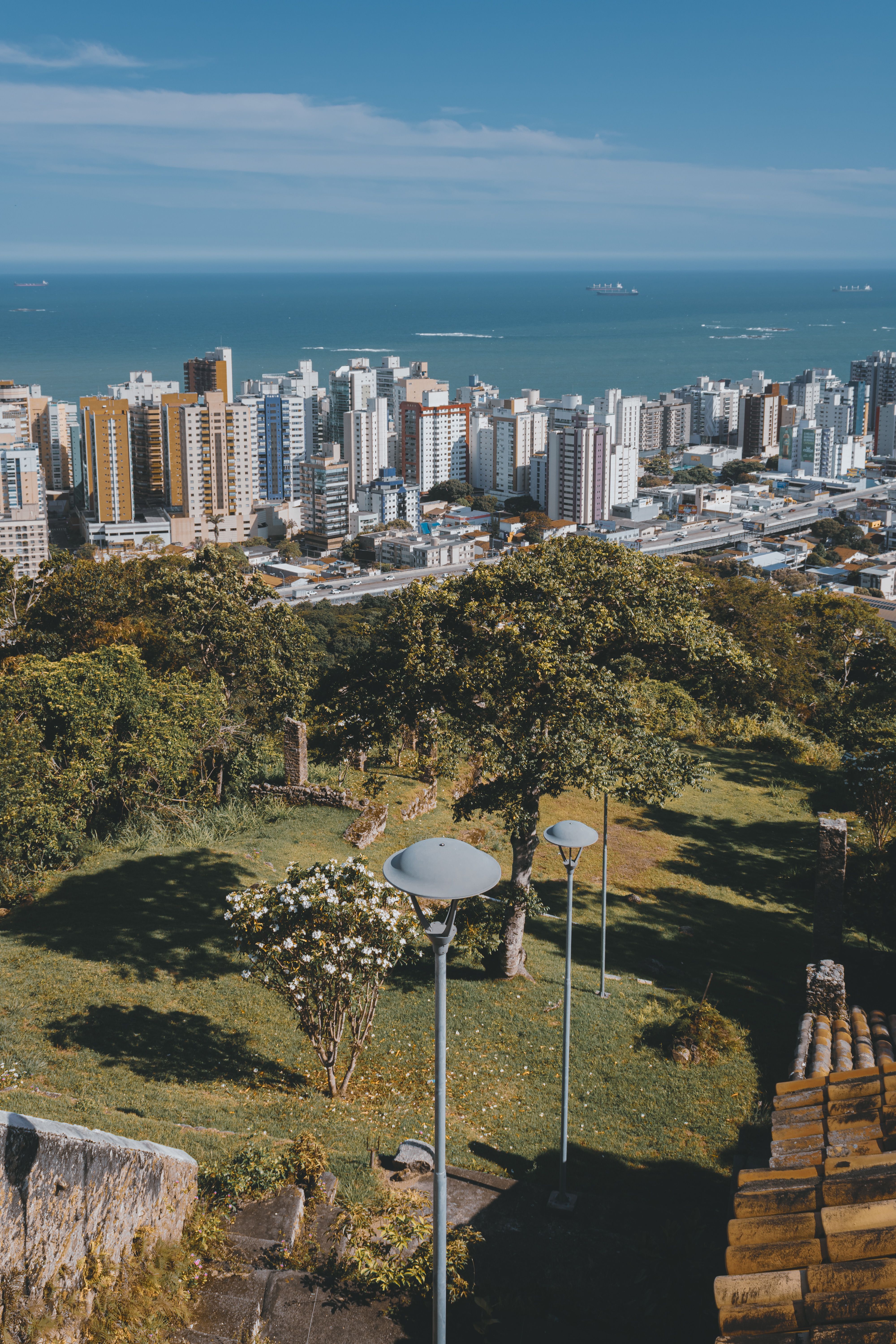 Scenic Aerial View of Coastal Cityscape · Free Stock Photo