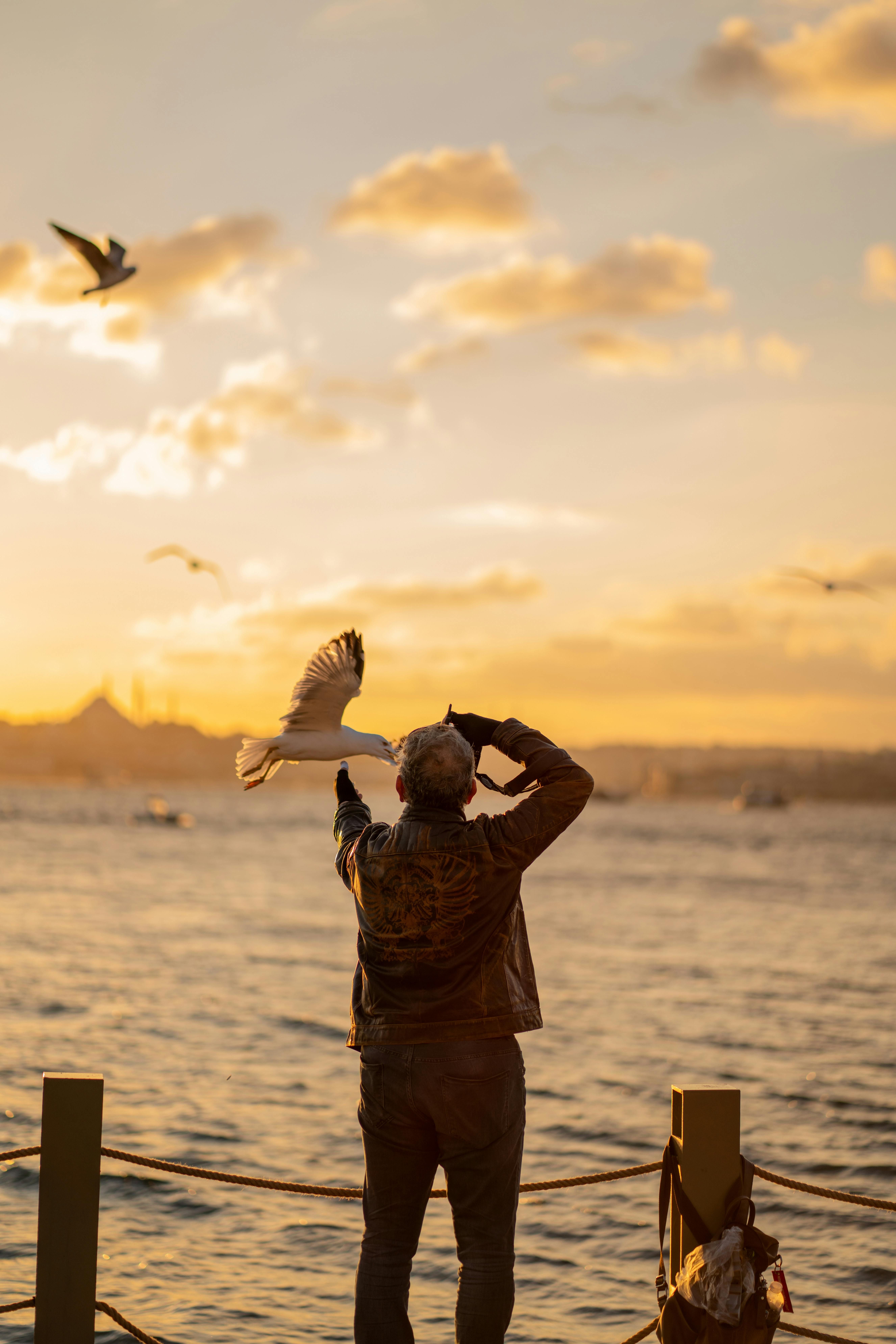 Sunset Waterfront Photos, Download The BEST Free Sunset Waterfront ...