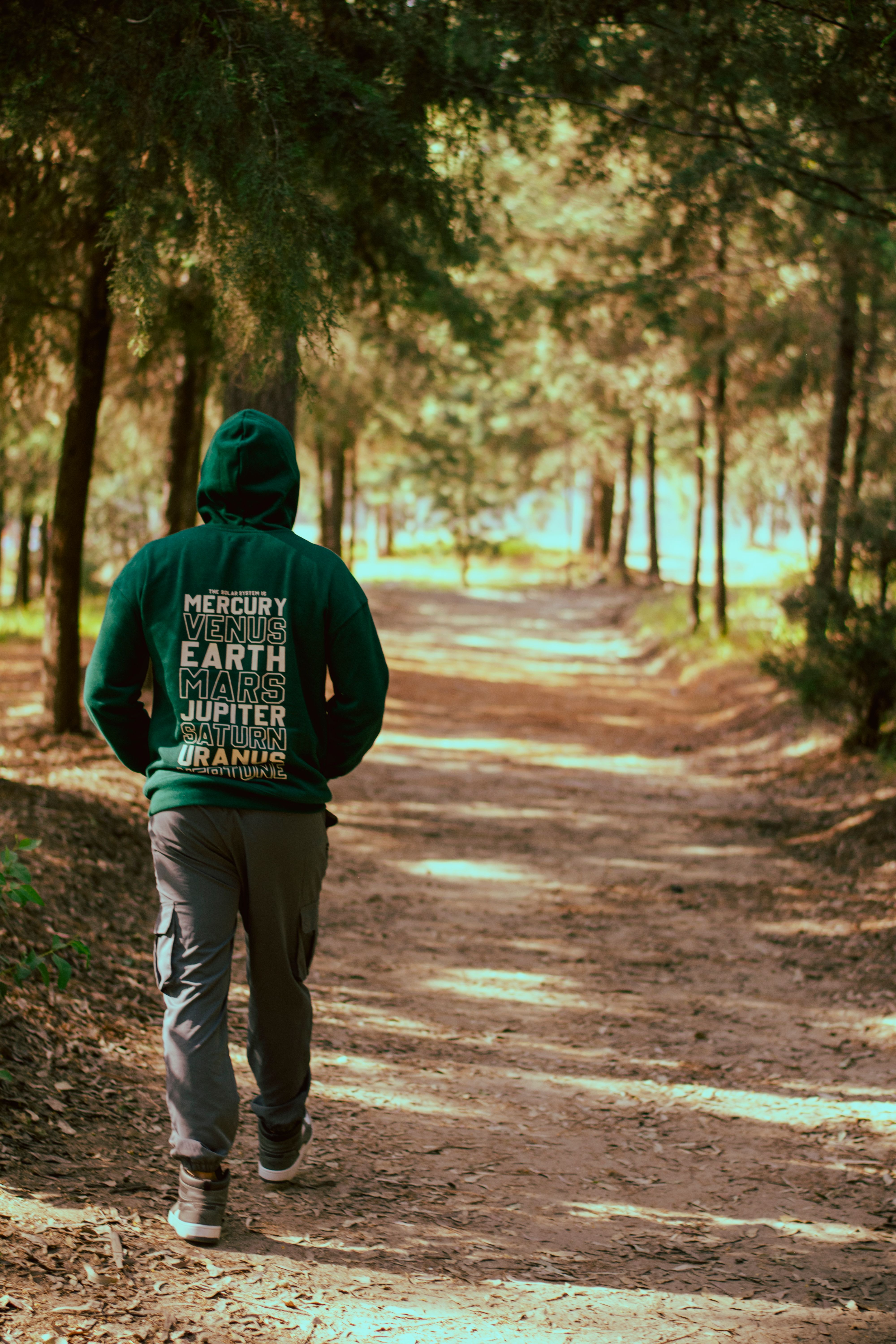 Person Walking on Forest Path in Sunny Weather · Free Stock Photo