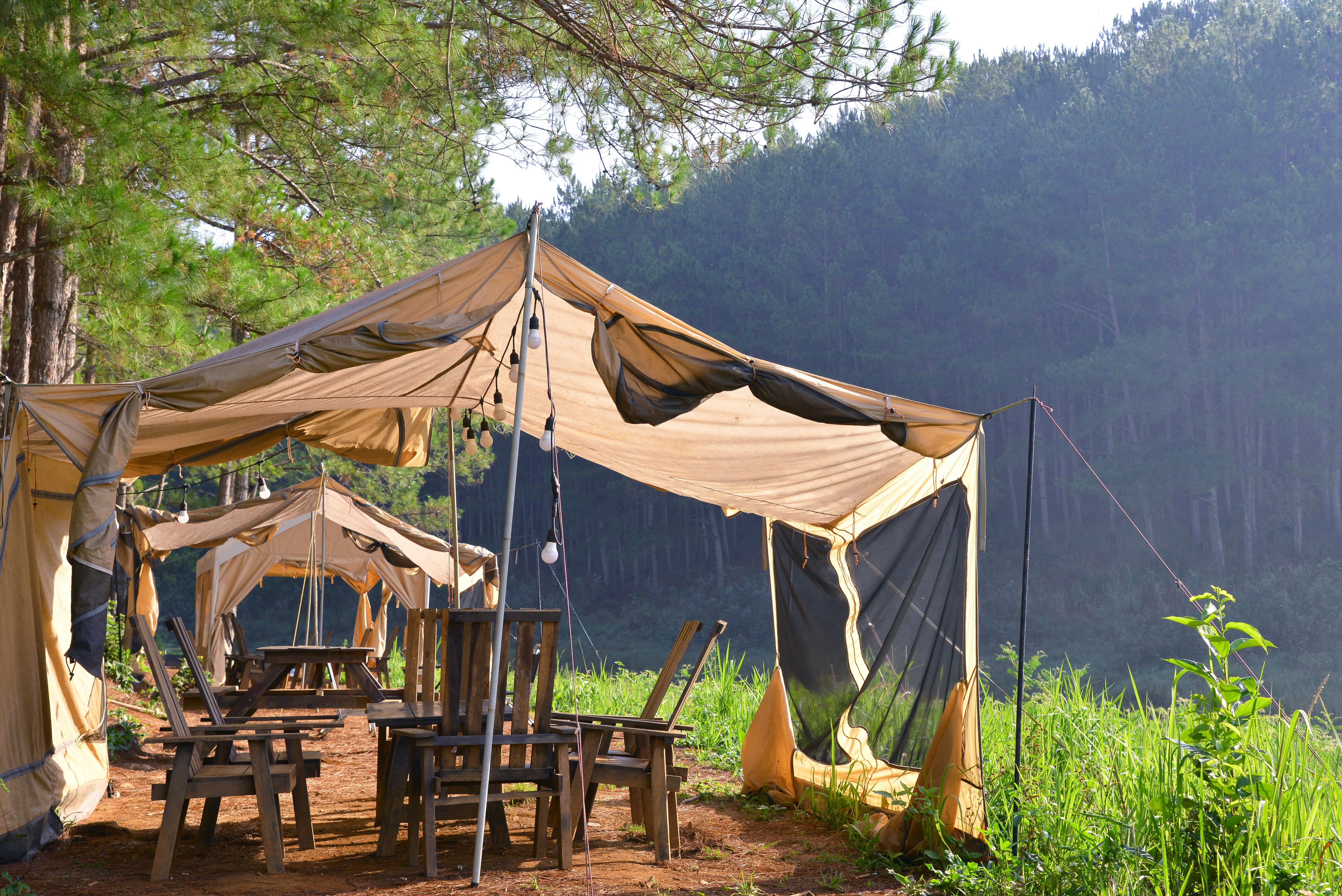 Rustic Tented Campsite in Lush Forest Setting · Free Stock Photo