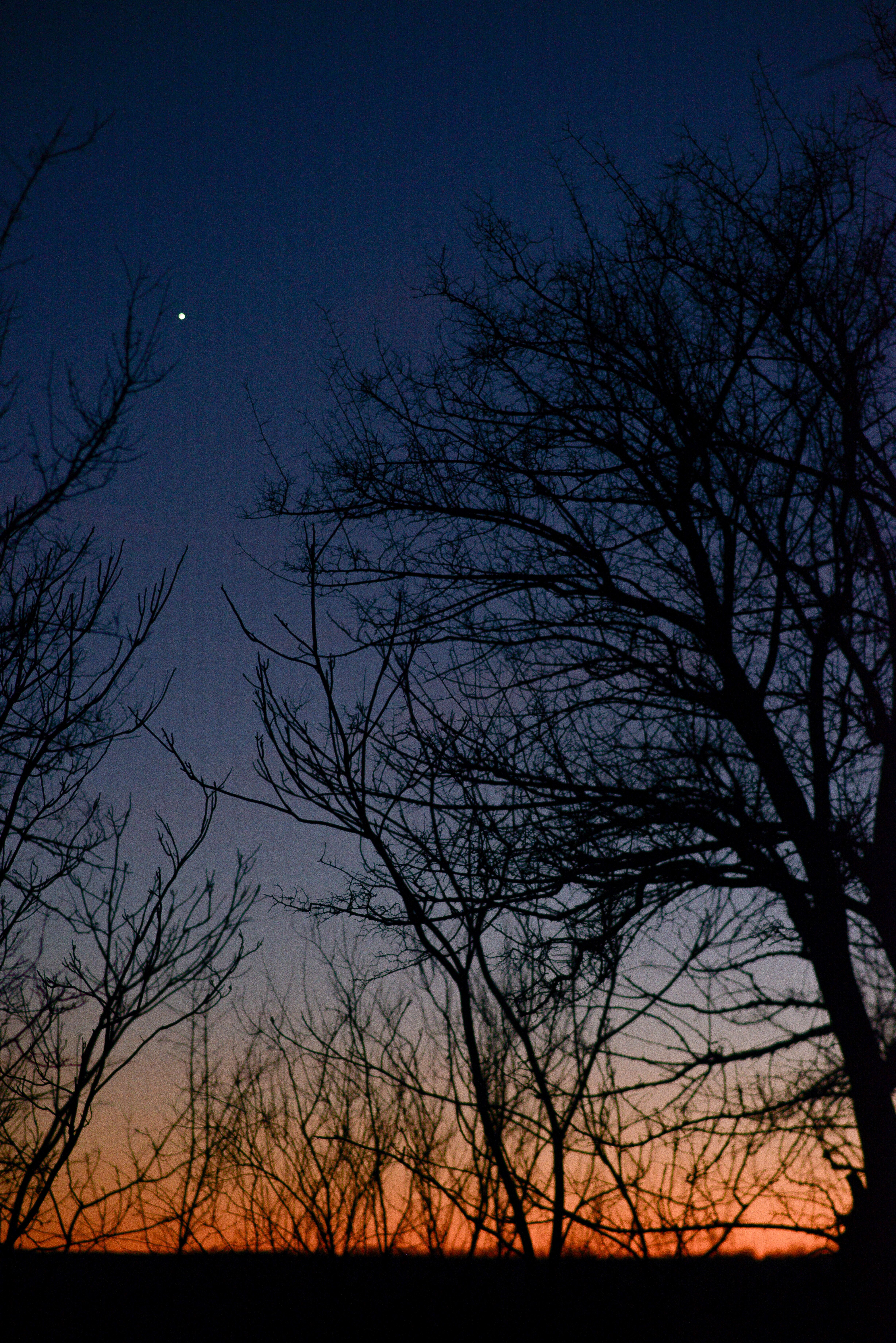 Beautiful Twilight Sky with Silhouetted Trees · Free Stock Photo