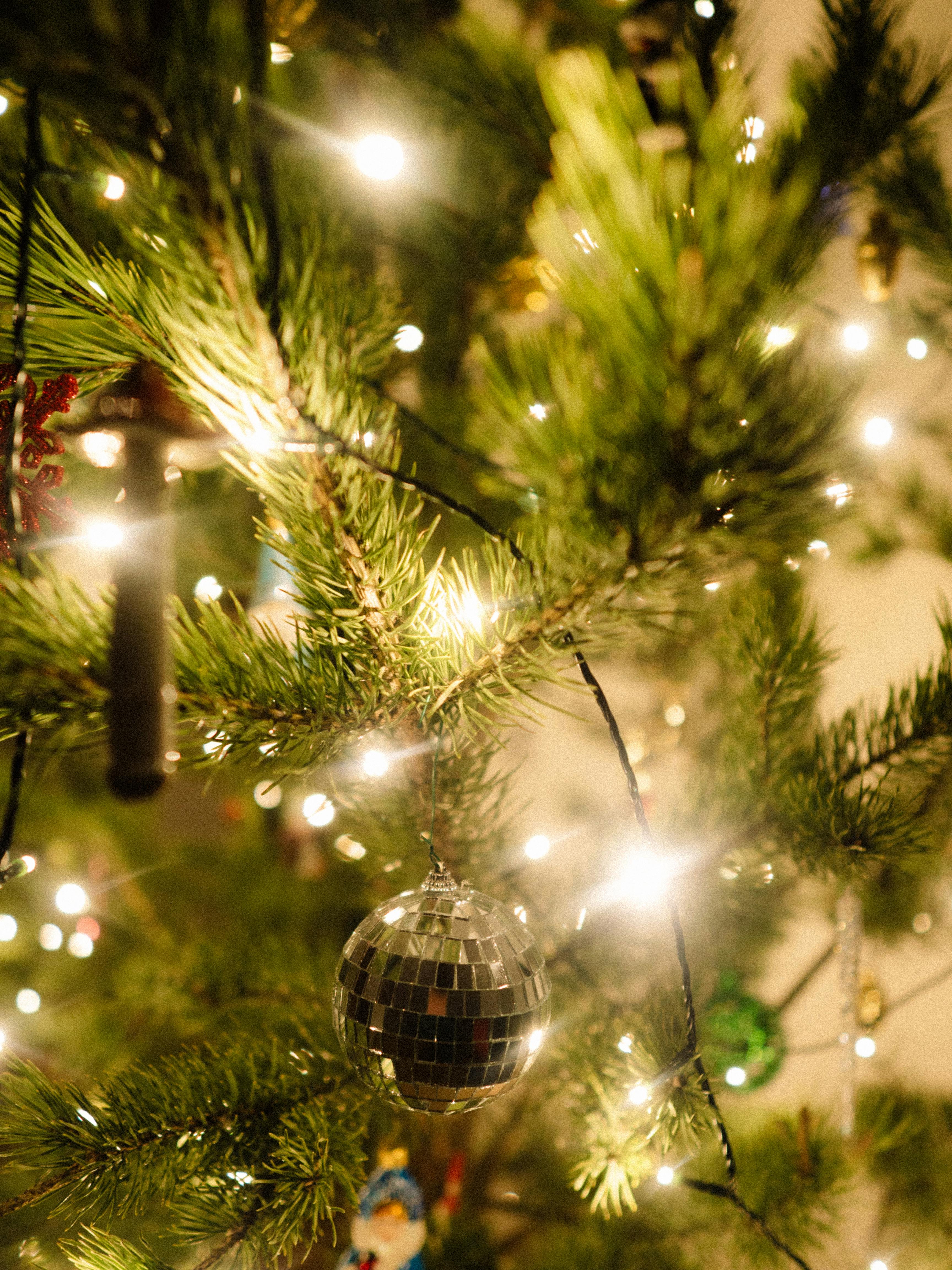 Backgrounds Noel Photos, Download The BEST Free Backgrounds Noel Stock ...