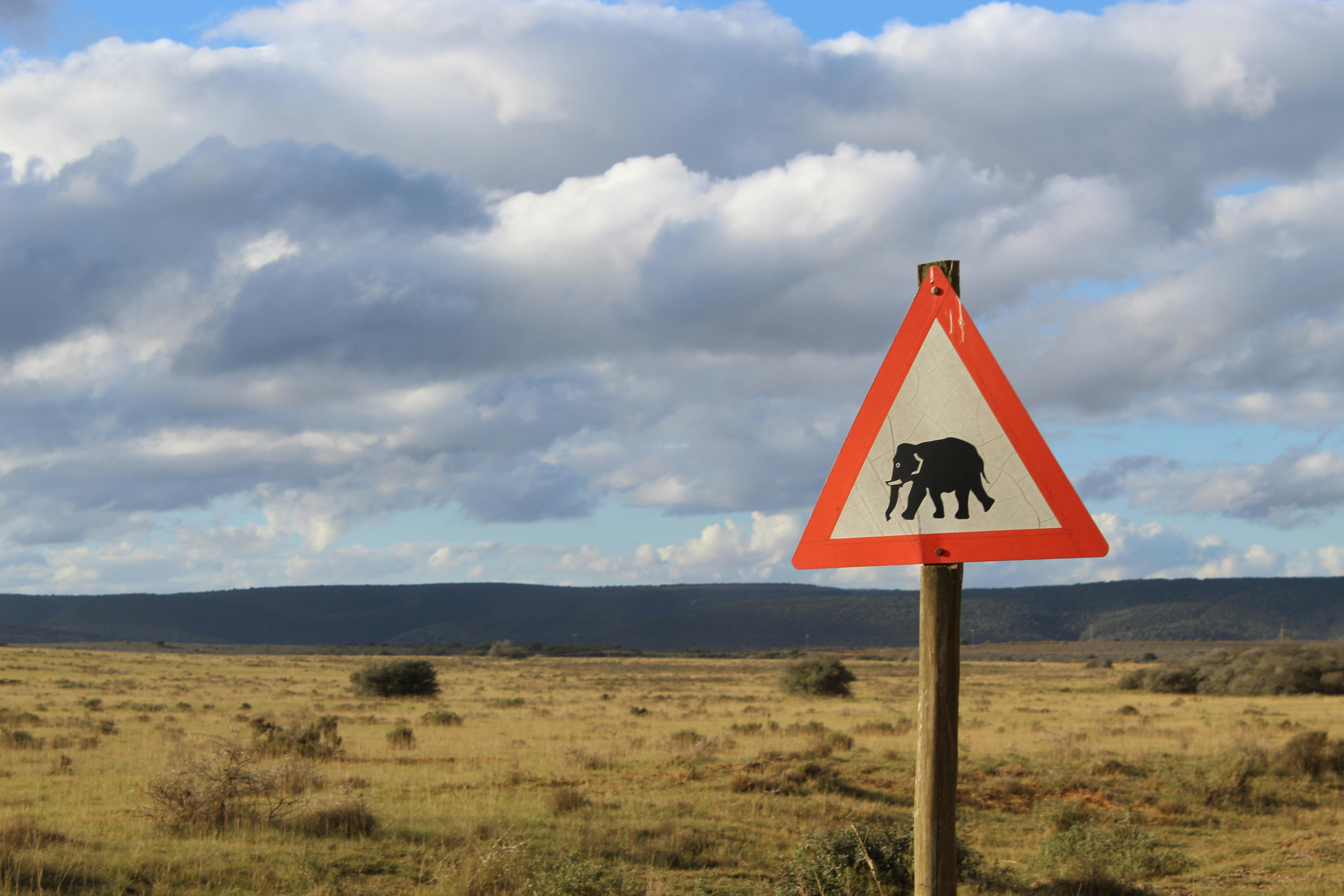 Elephant Crossing Sign in African Savanna · Free Stock Photo