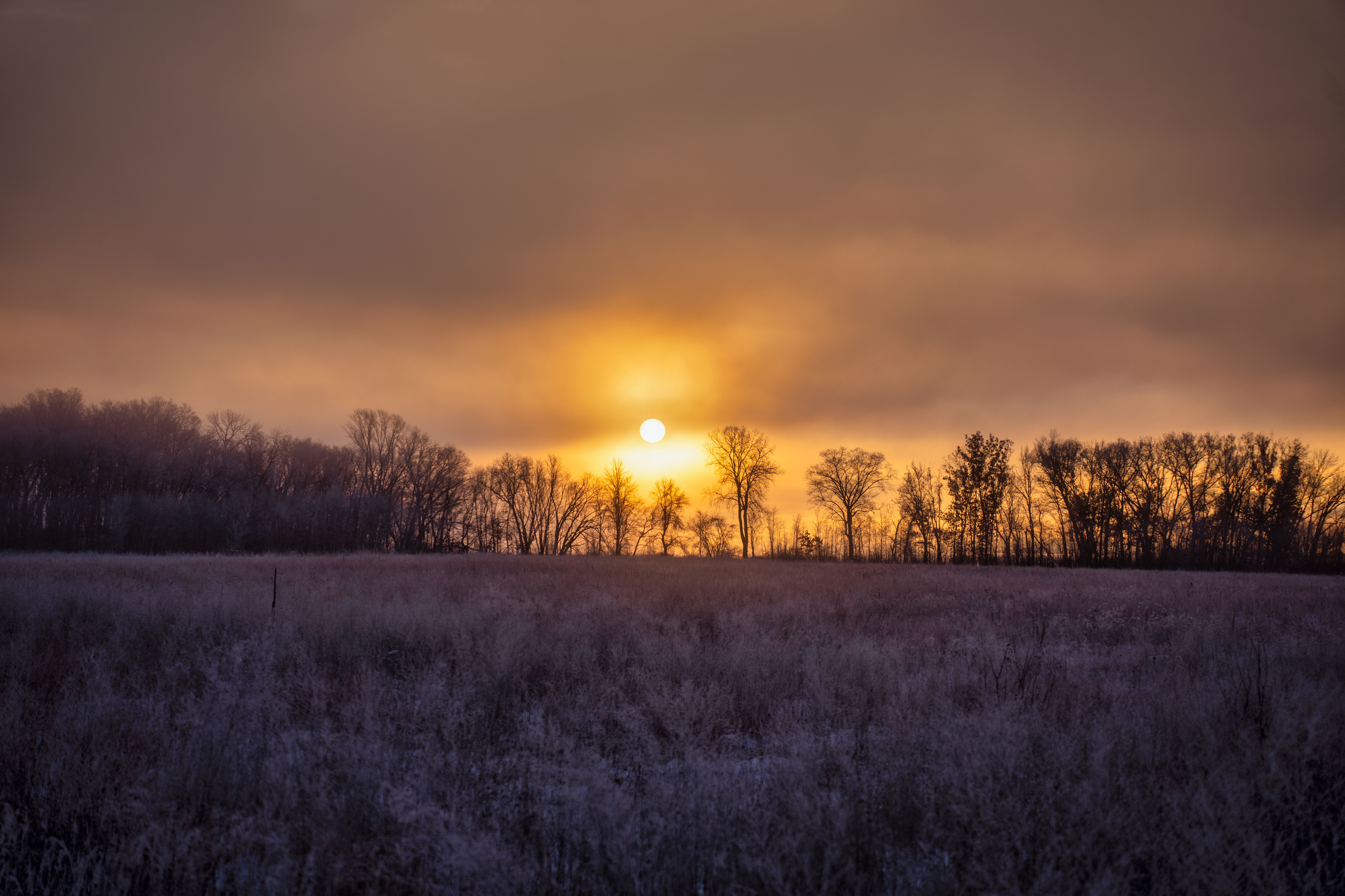 Stunning Winter Sunrise Over Frosty Plains · Free Stock Photo