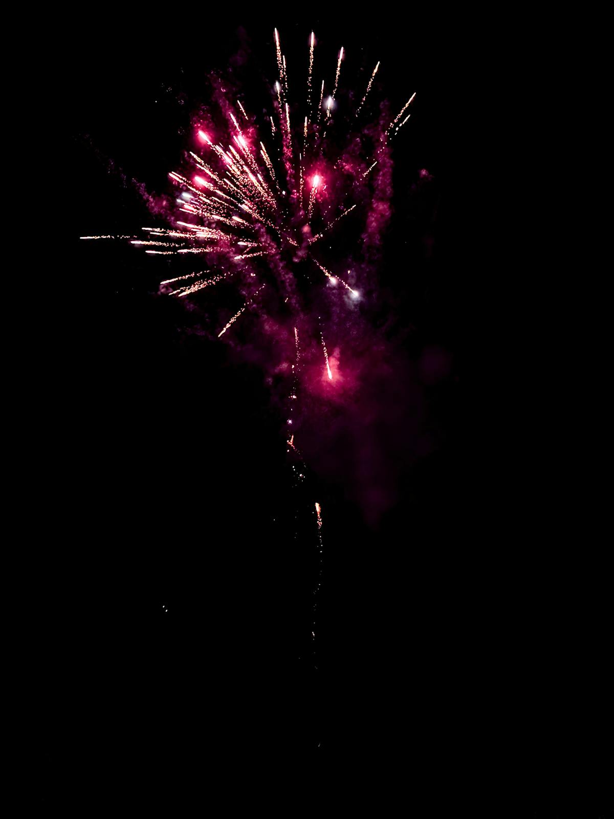 Firework Display Photos, Download The BEST Free Firework Display Stock ...