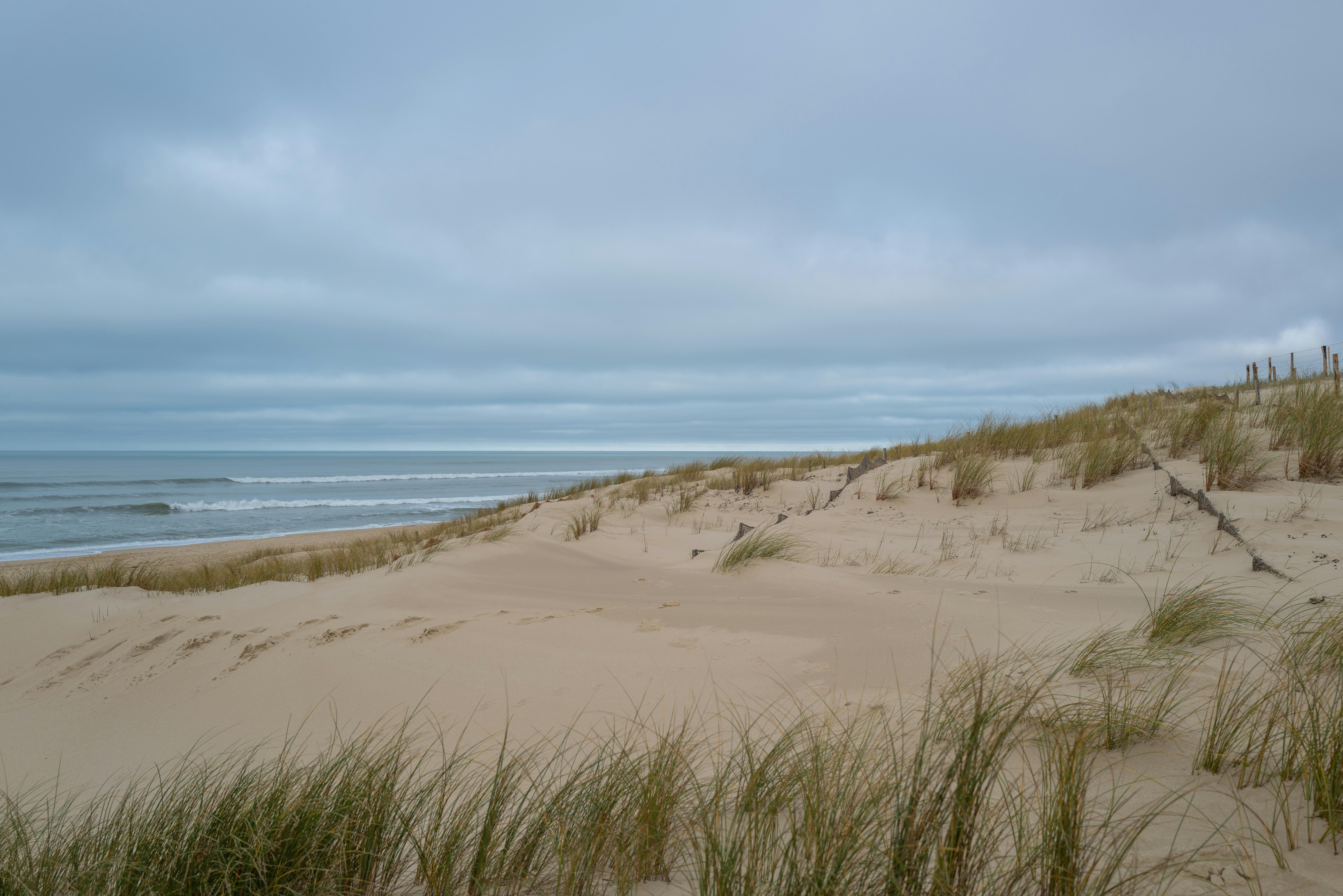 Neutral Sand Photos, Download The BEST Free Neutral Sand Stock Photos ...