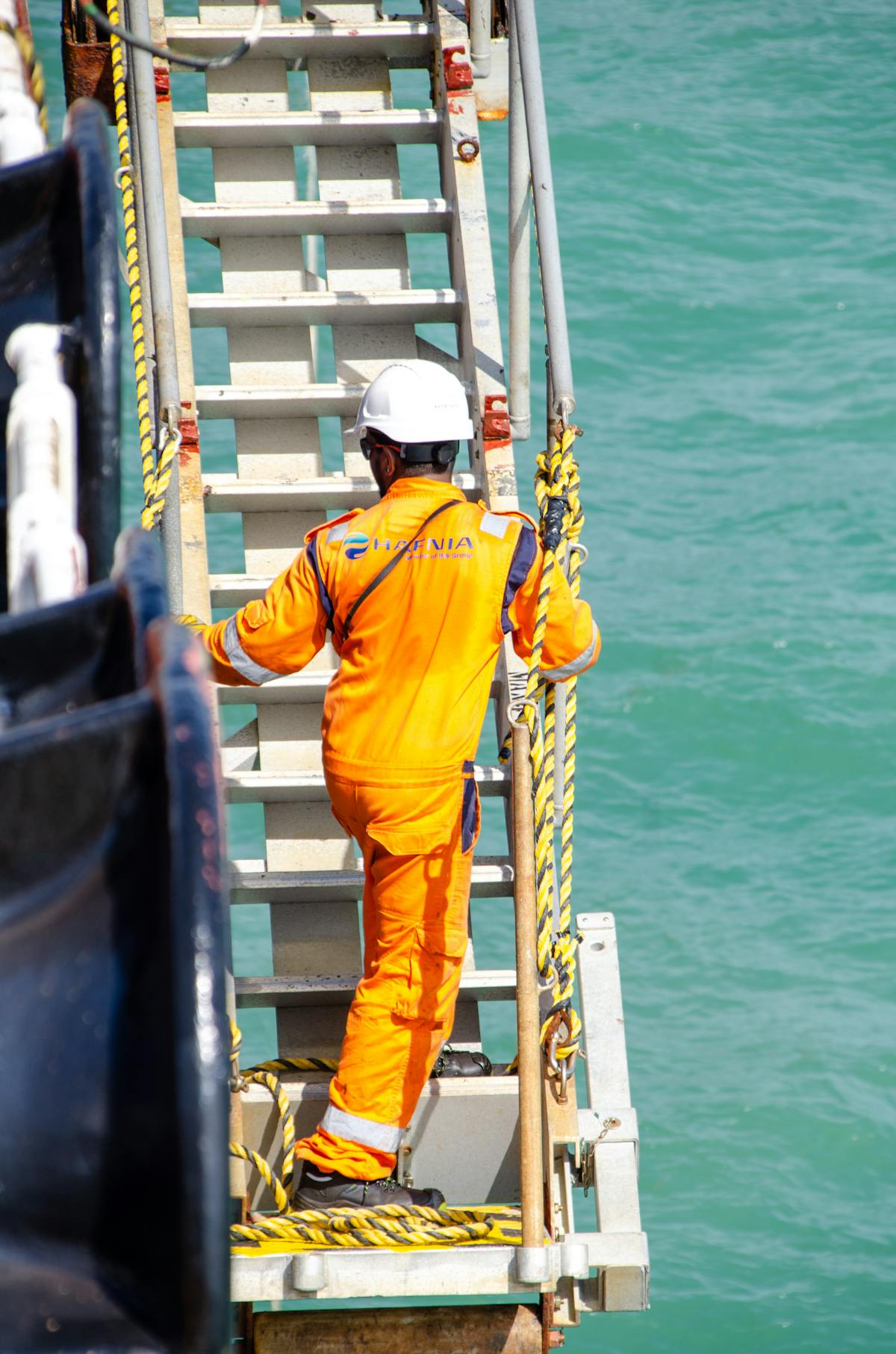 Ladder Safety Photos, Download The BEST Free Ladder Safety Stock Photos ...