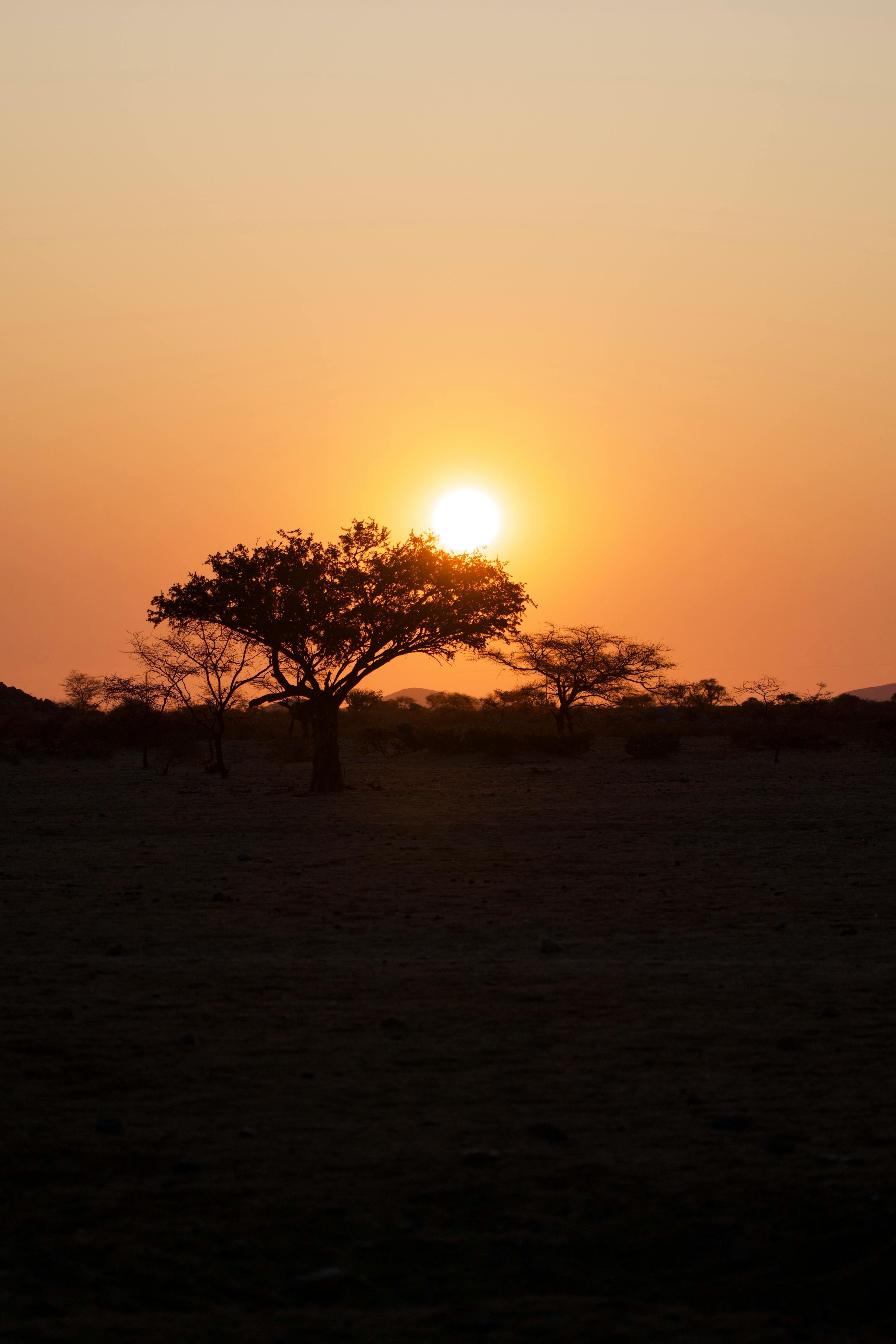 Stunning Namibian Sunset Over Desert Landscape · Free Stock Photo