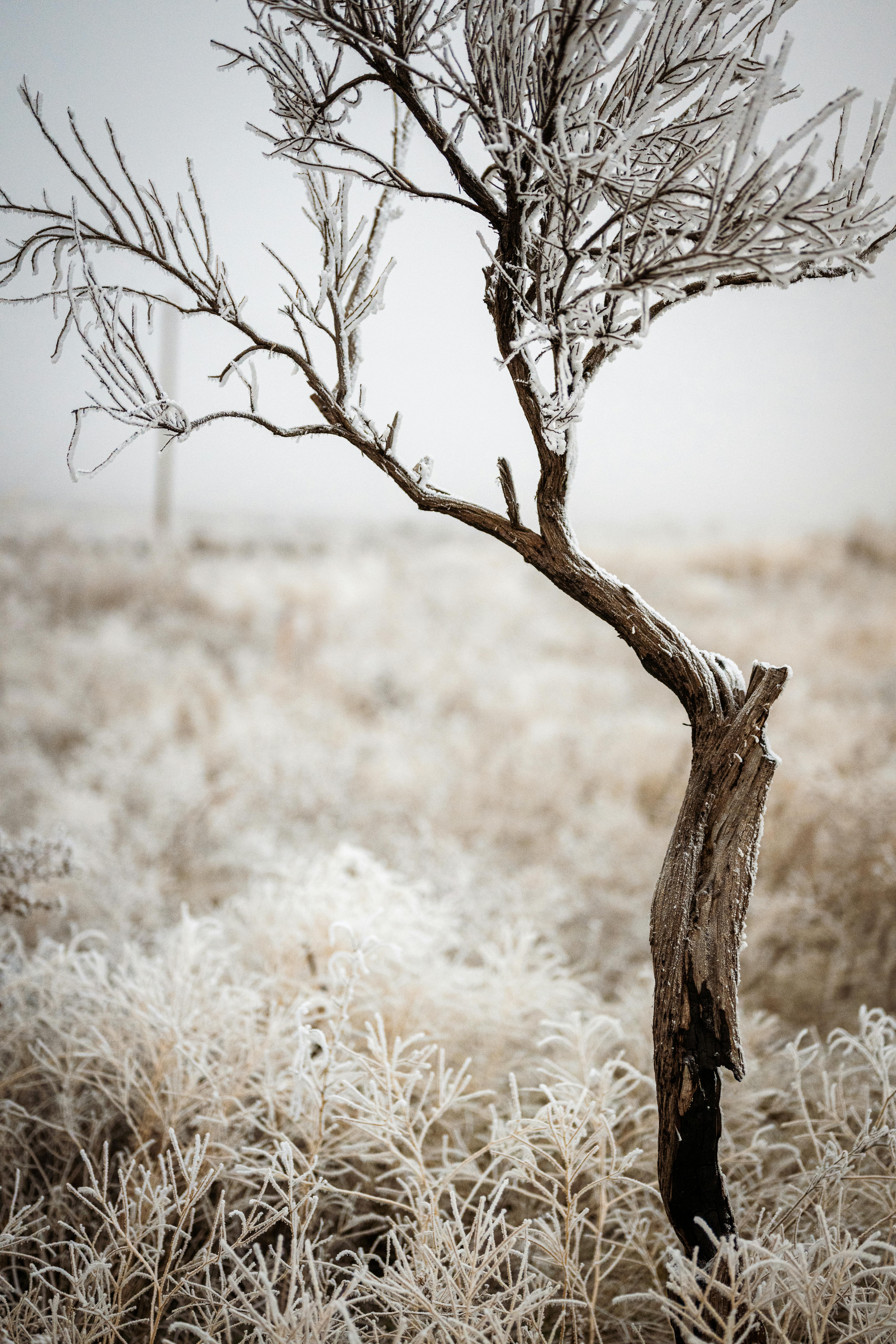 Brett Sayles - Photography