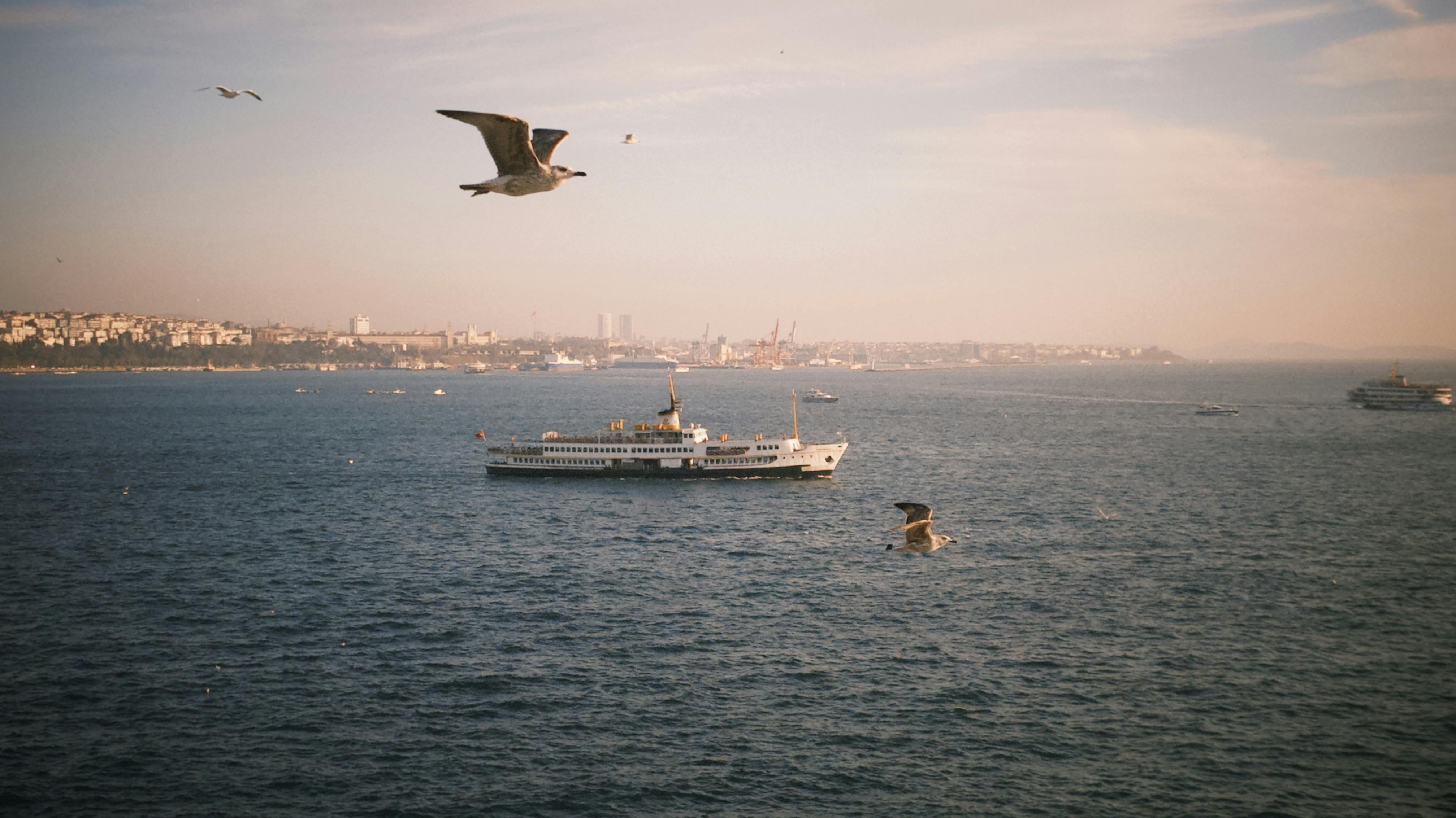 Pemandangan Laut Yang Damai Dengan Kapal Feri Dan Burung Camar Di ...