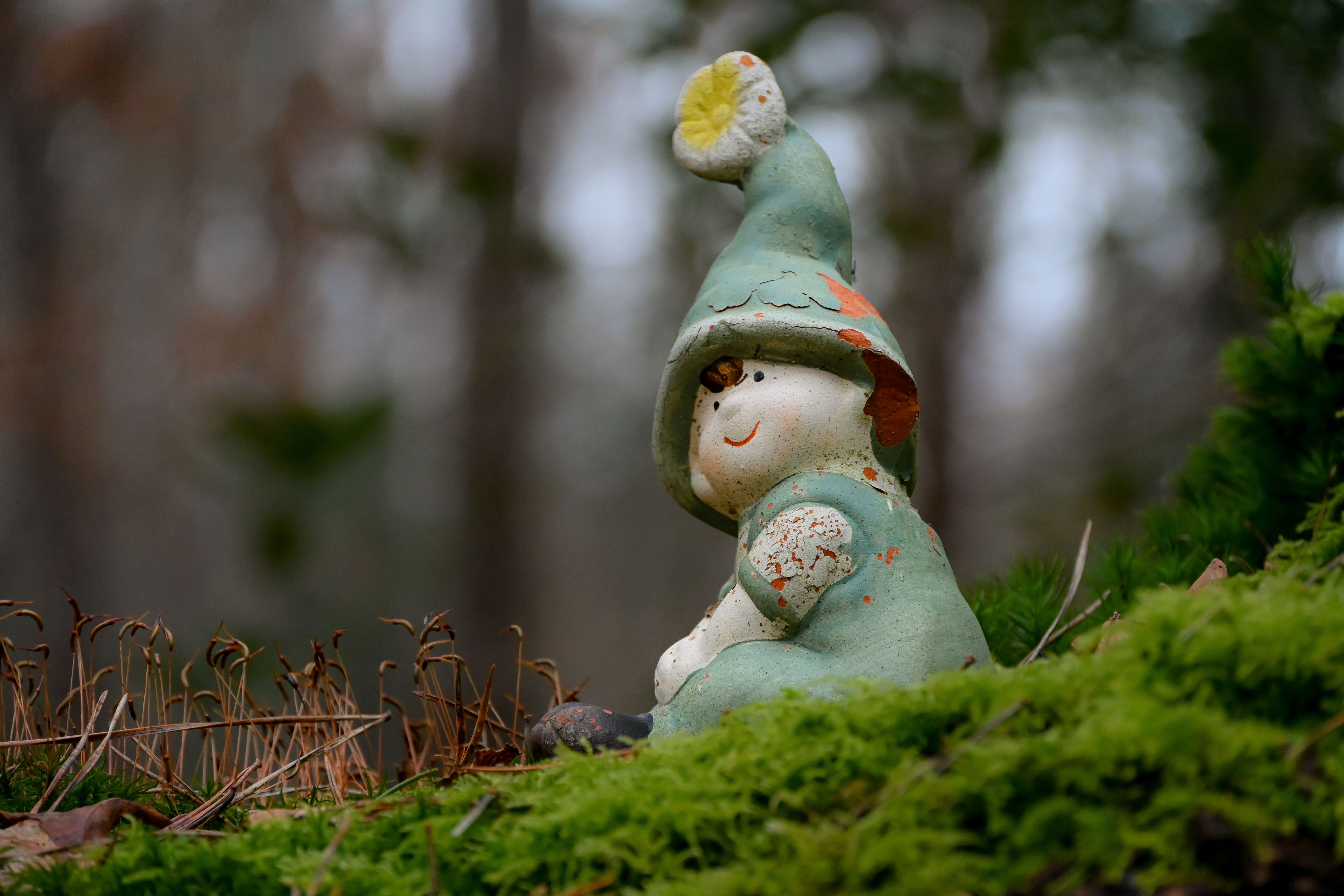 Charming Elf Figurine in Forest Setting · Free Stock Photo