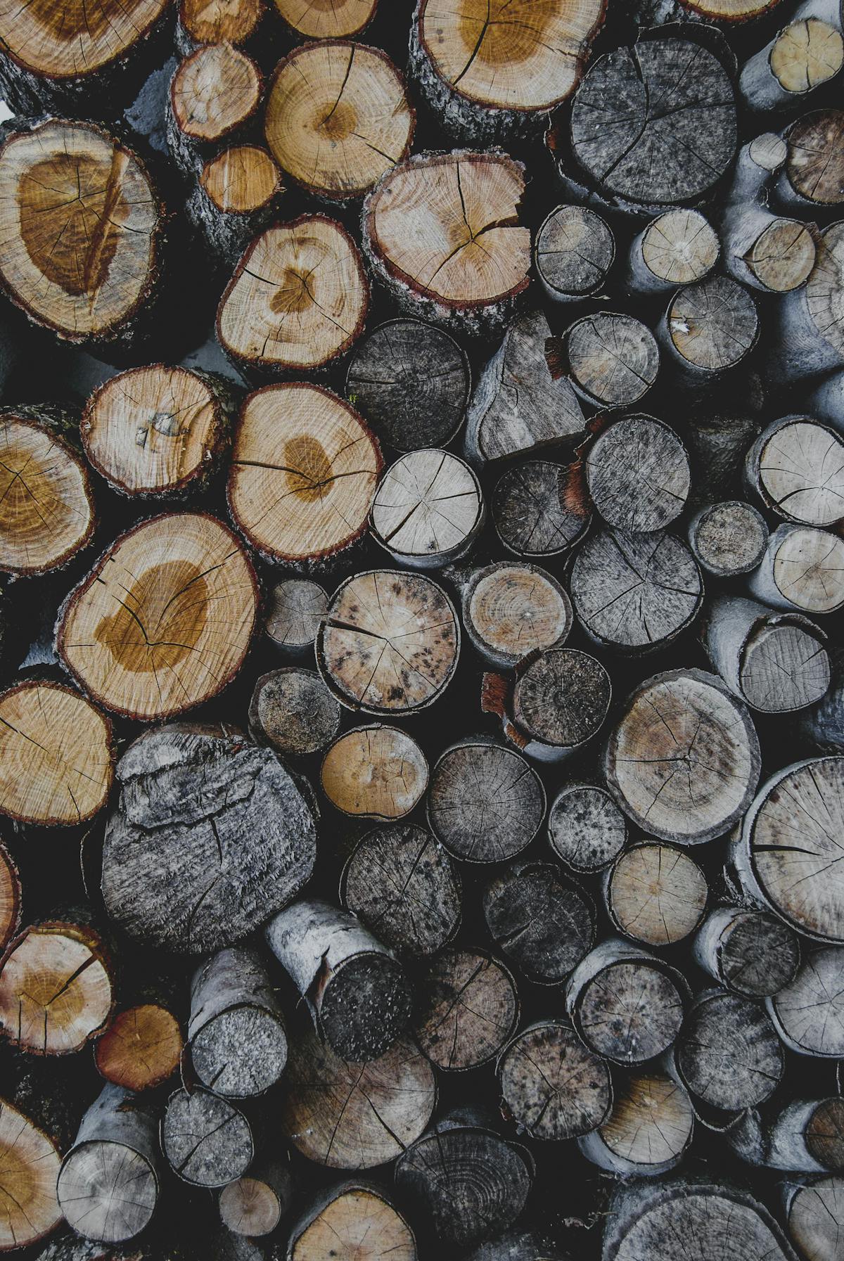 Myntra Background Photos, Download The BEST Free Myntra Background ...