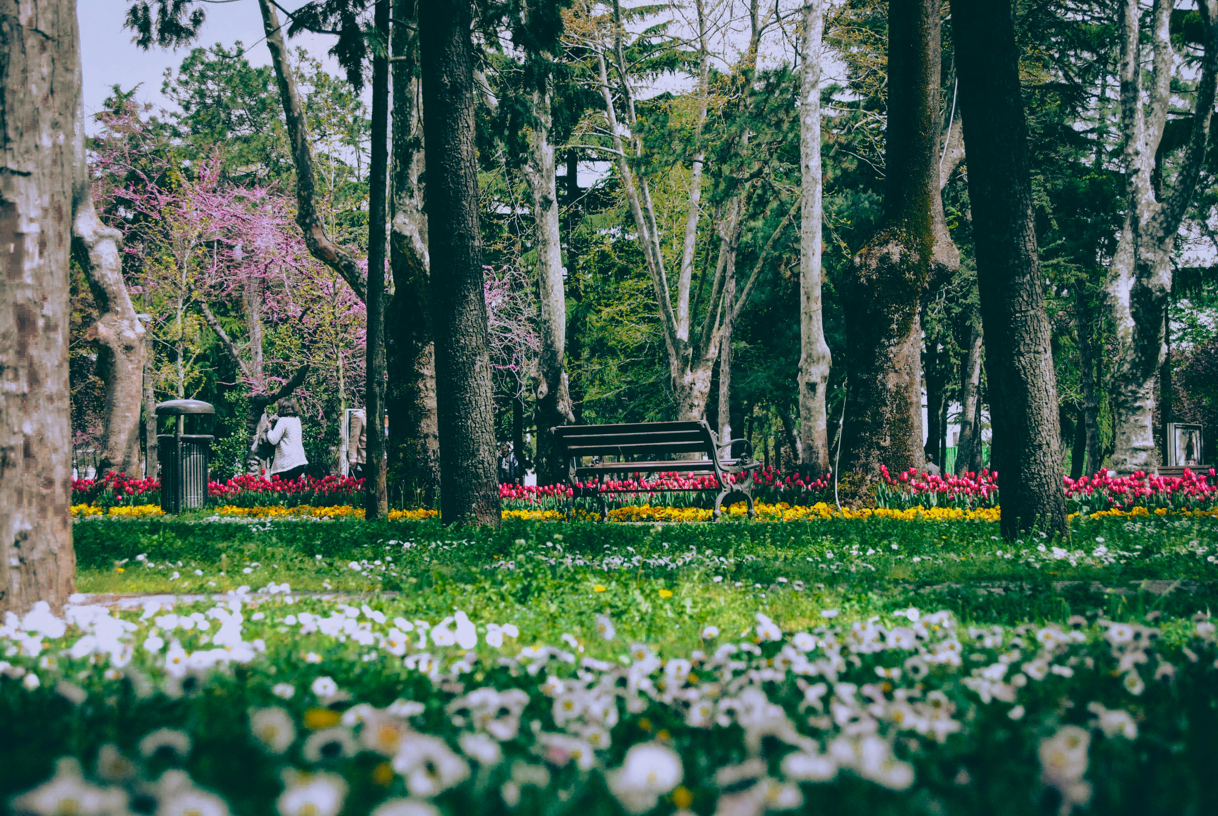 Springtime Photos, Download The BEST Free Springtime Stock Photos & HD ...