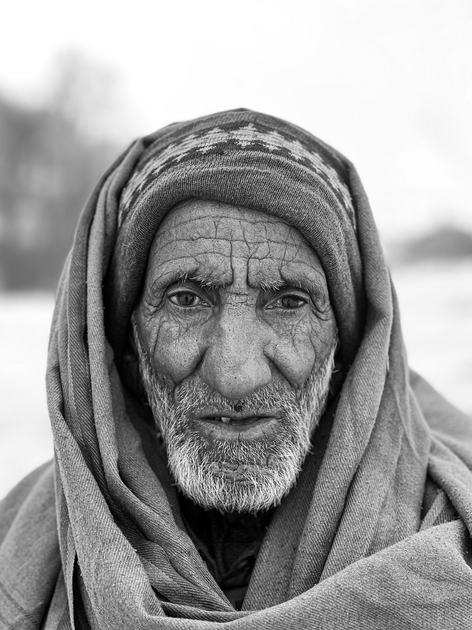 Old Man Face Photos, Download The BEST Free Old Man Face Stock Photos ...