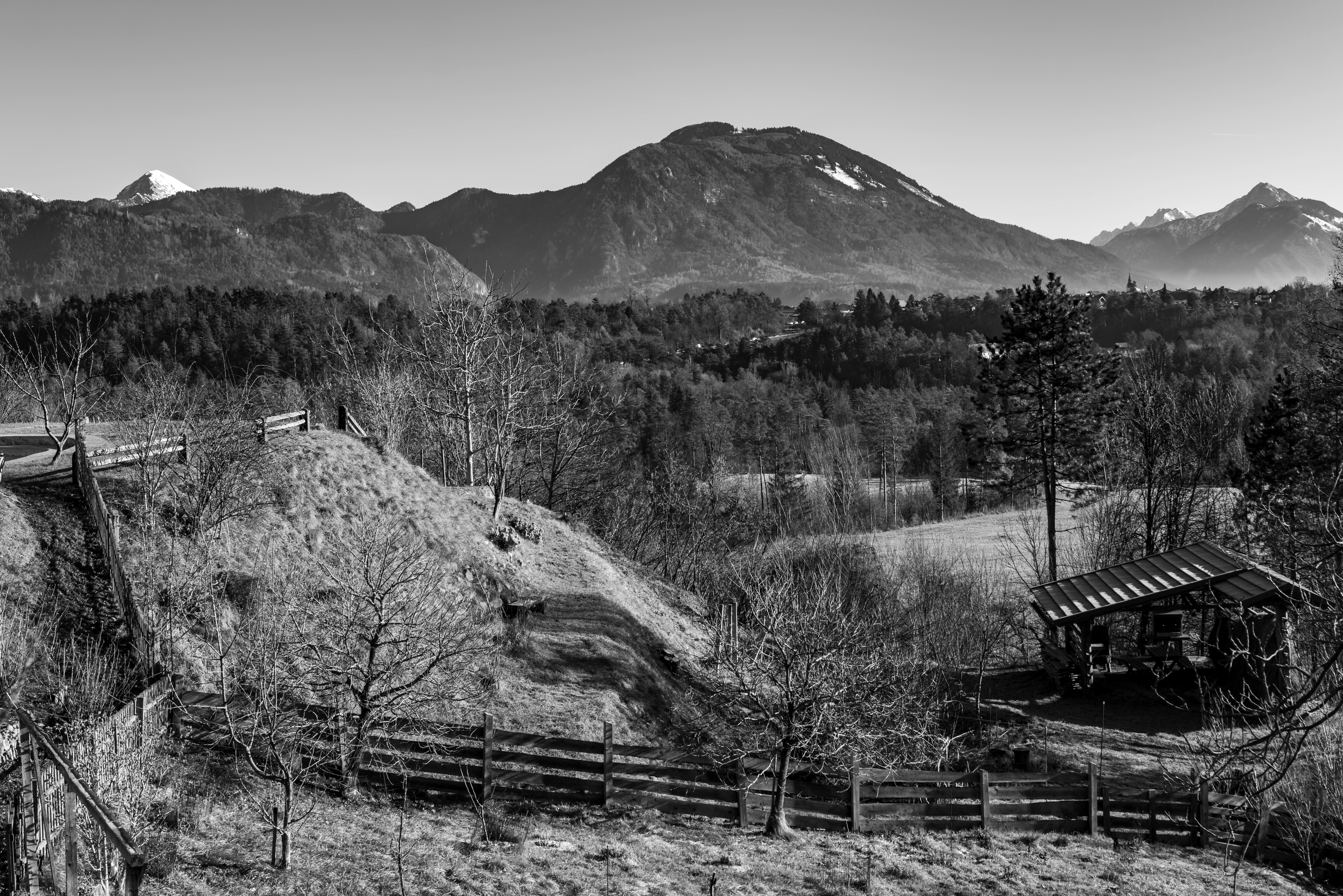 Pictorial Texture Photos, Download The BEST Free Pictorial Texture ...