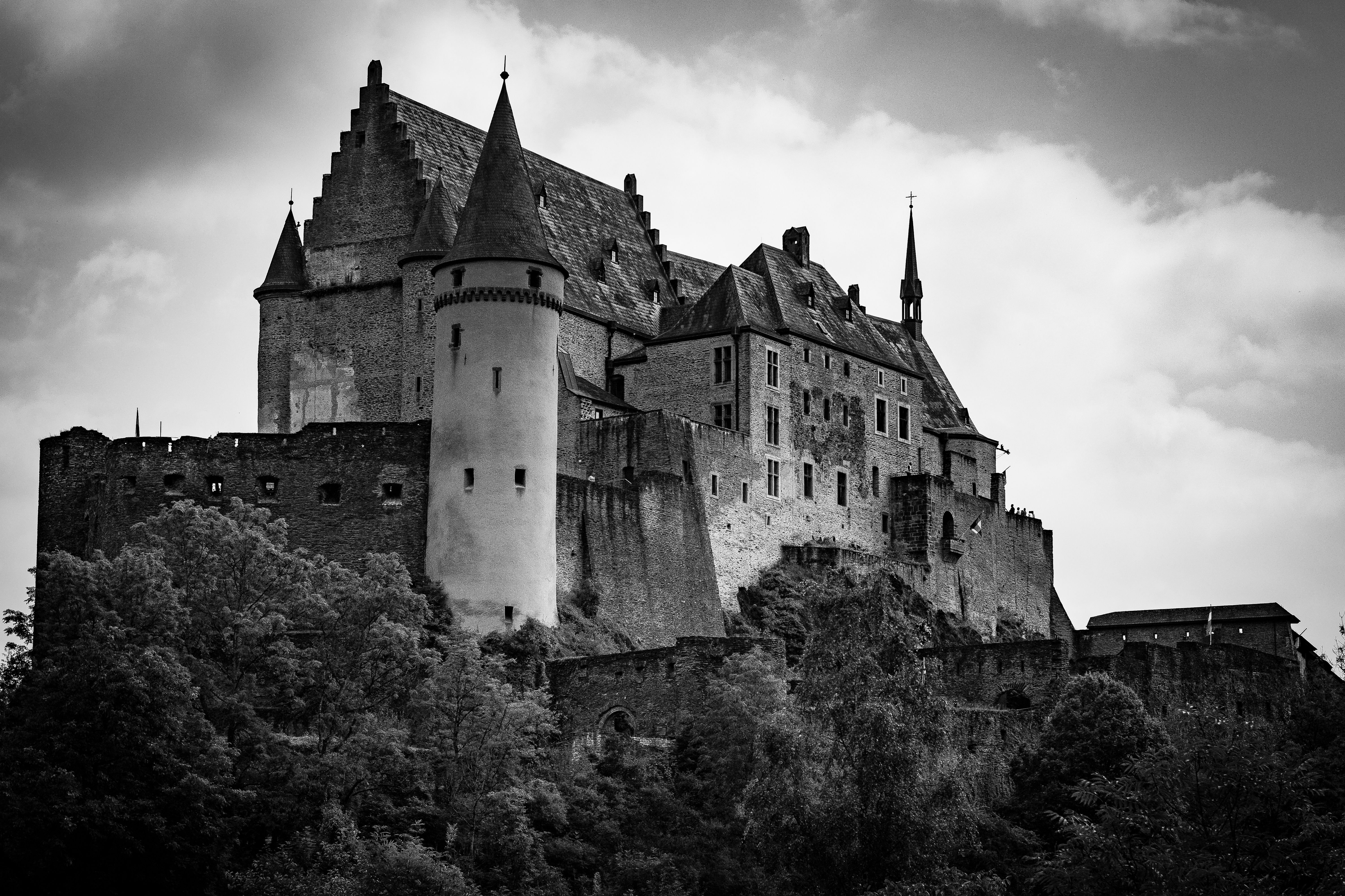 Majestic Medieval Castle in Black and White · Free Stock Photo