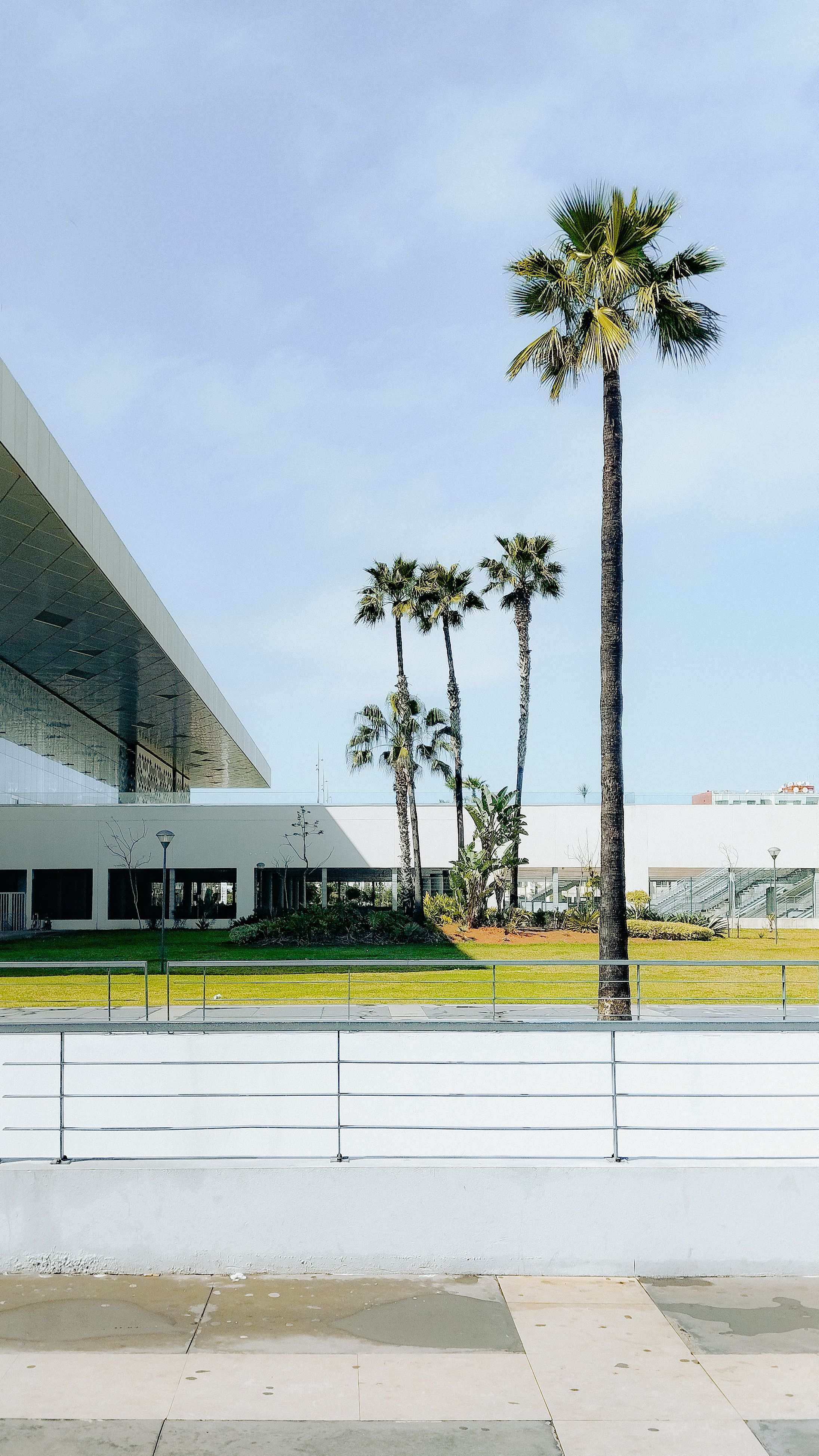 Modern Architecture in Rabat with Palm Trees · Free Stock Photo