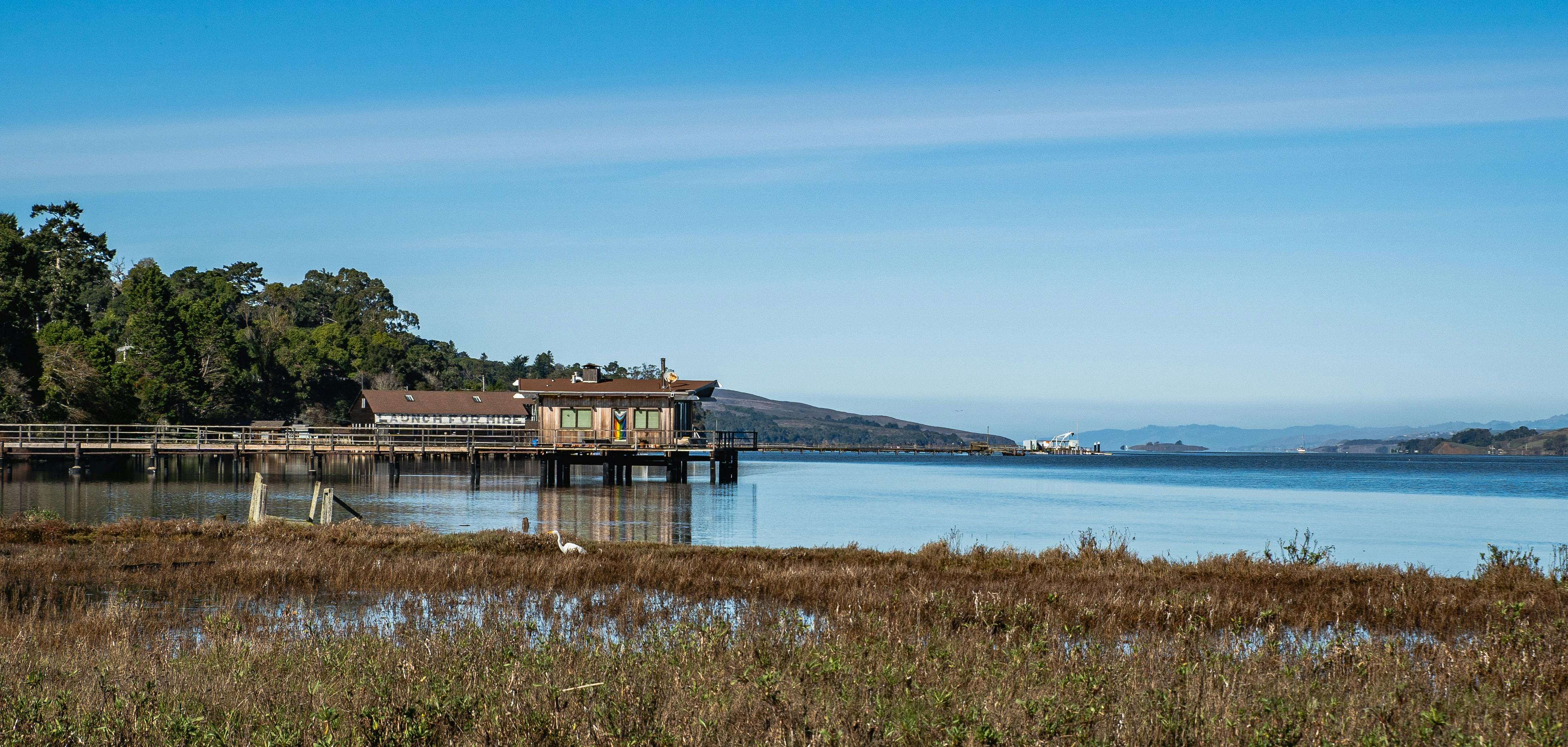 Scenic Waterfront View with Rustic Building and Dock · Free Stock Photo