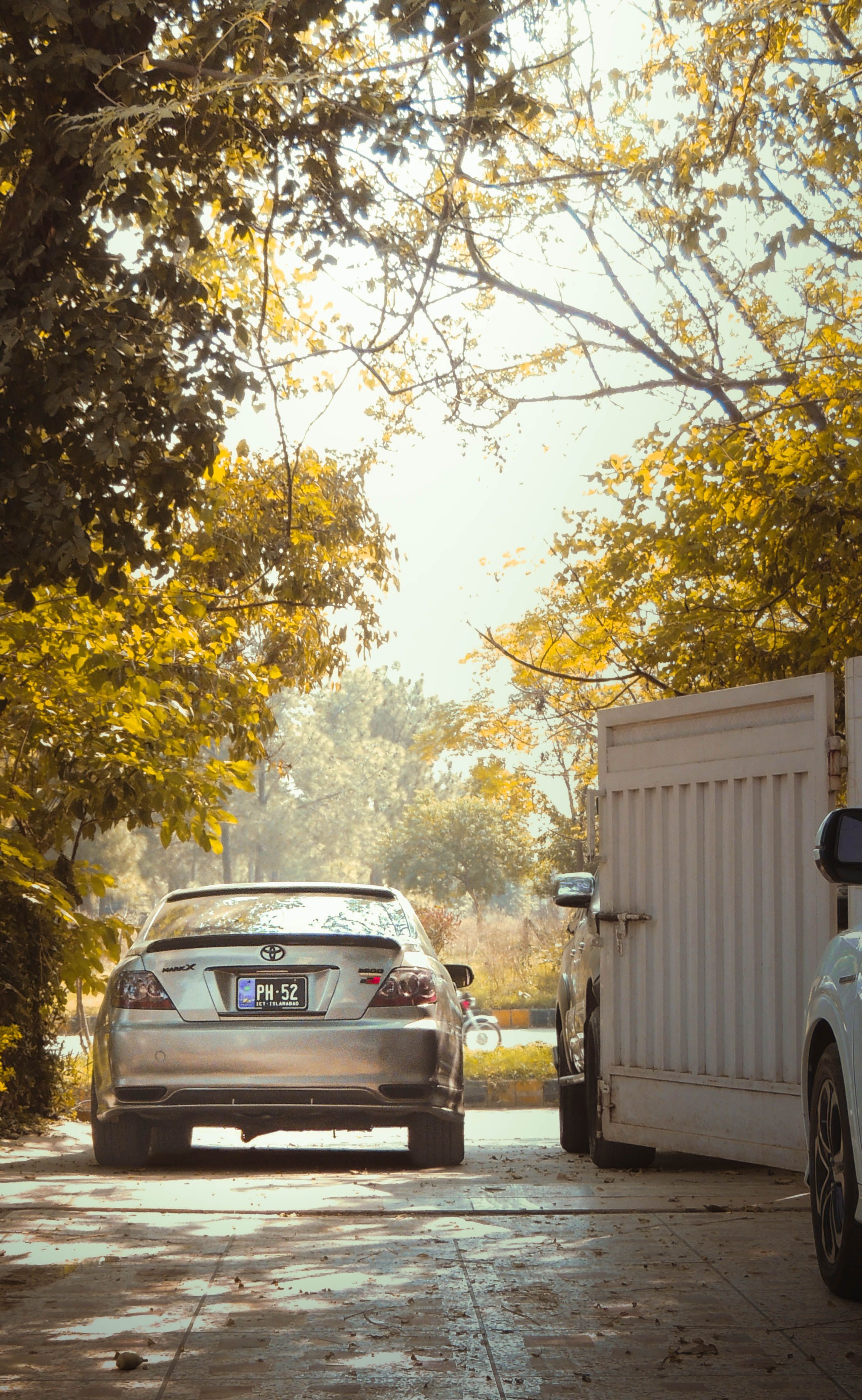 Driving Season Photos, Download The BEST Free Driving Season Stock ...