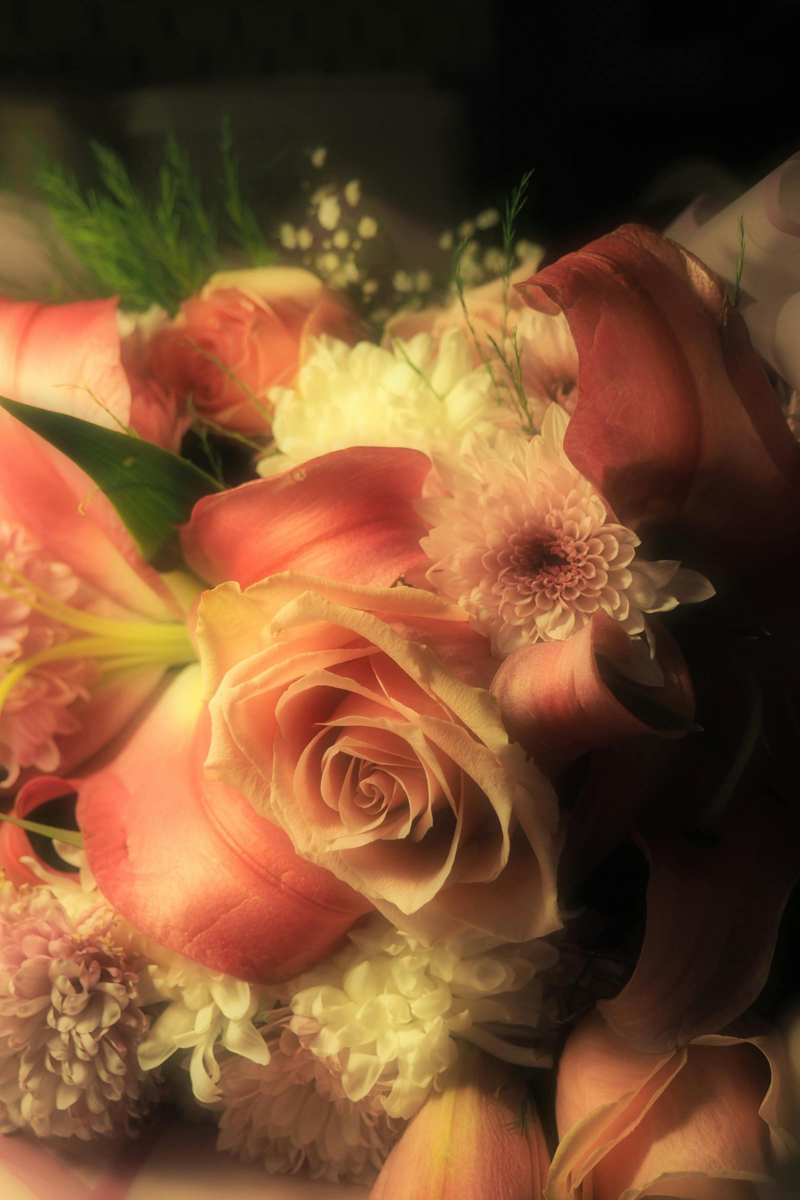 Posy Flower Photos, Download The BEST Free Posy Flower Stock Photos ...