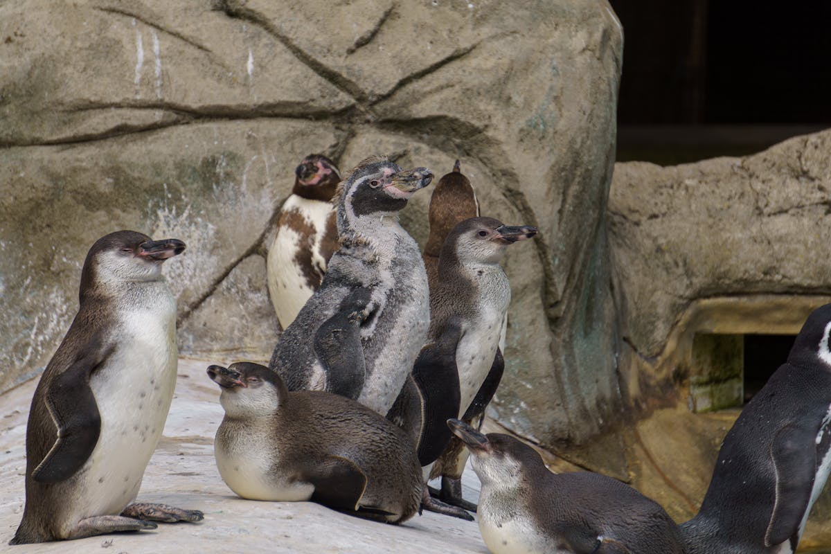 Group Pfp Photos, Download The BEST Free Group Pfp Stock Photos & HD Images