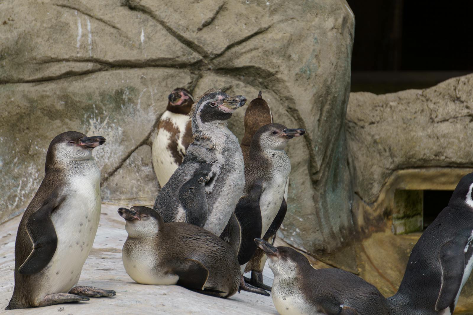 Group Pfp Photos, Download The BEST Free Group Pfp Stock Photos & HD Images