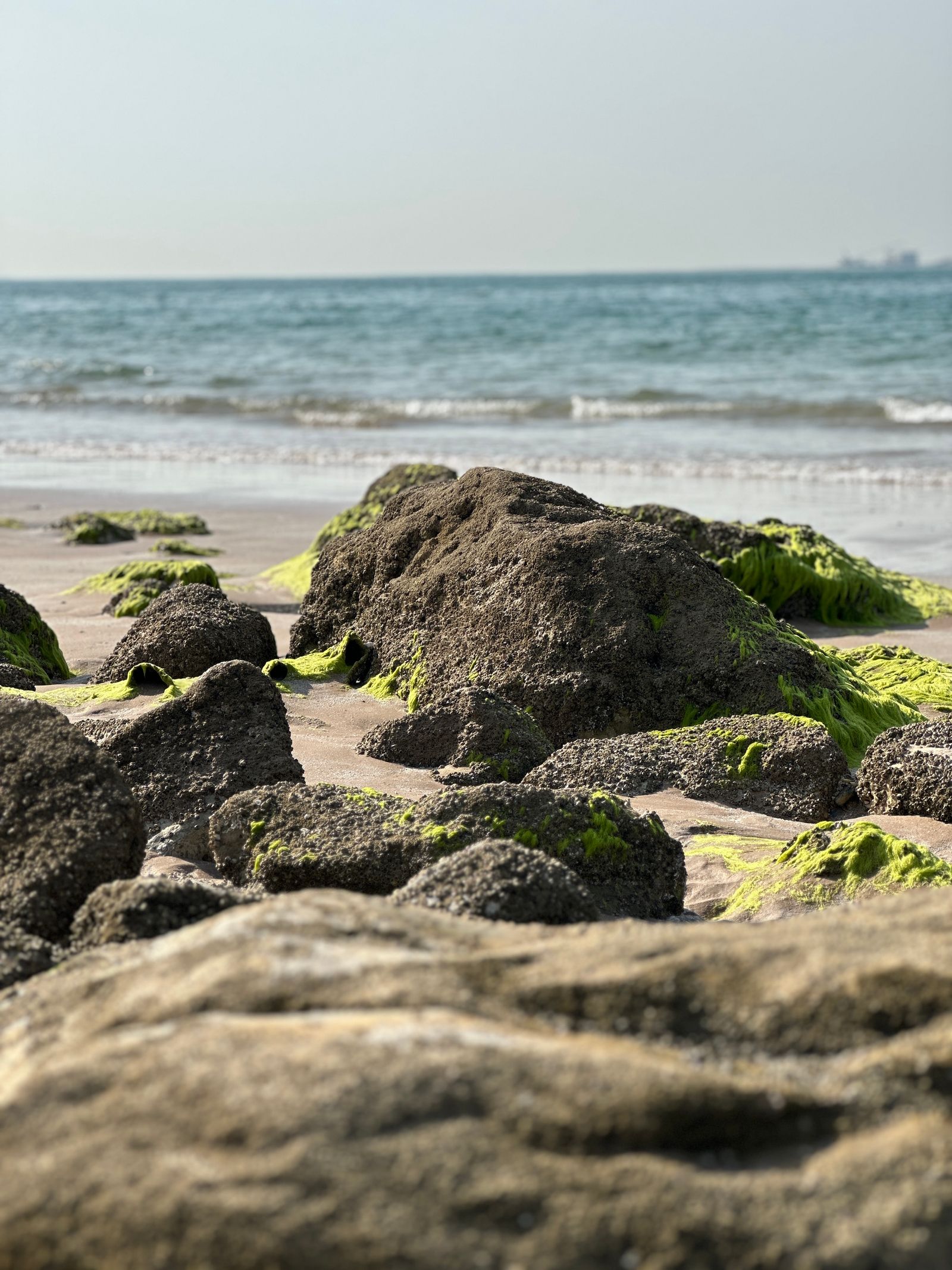 Beach Scene With Rocks Photos, Download The BEST Free Beach Scene With ...