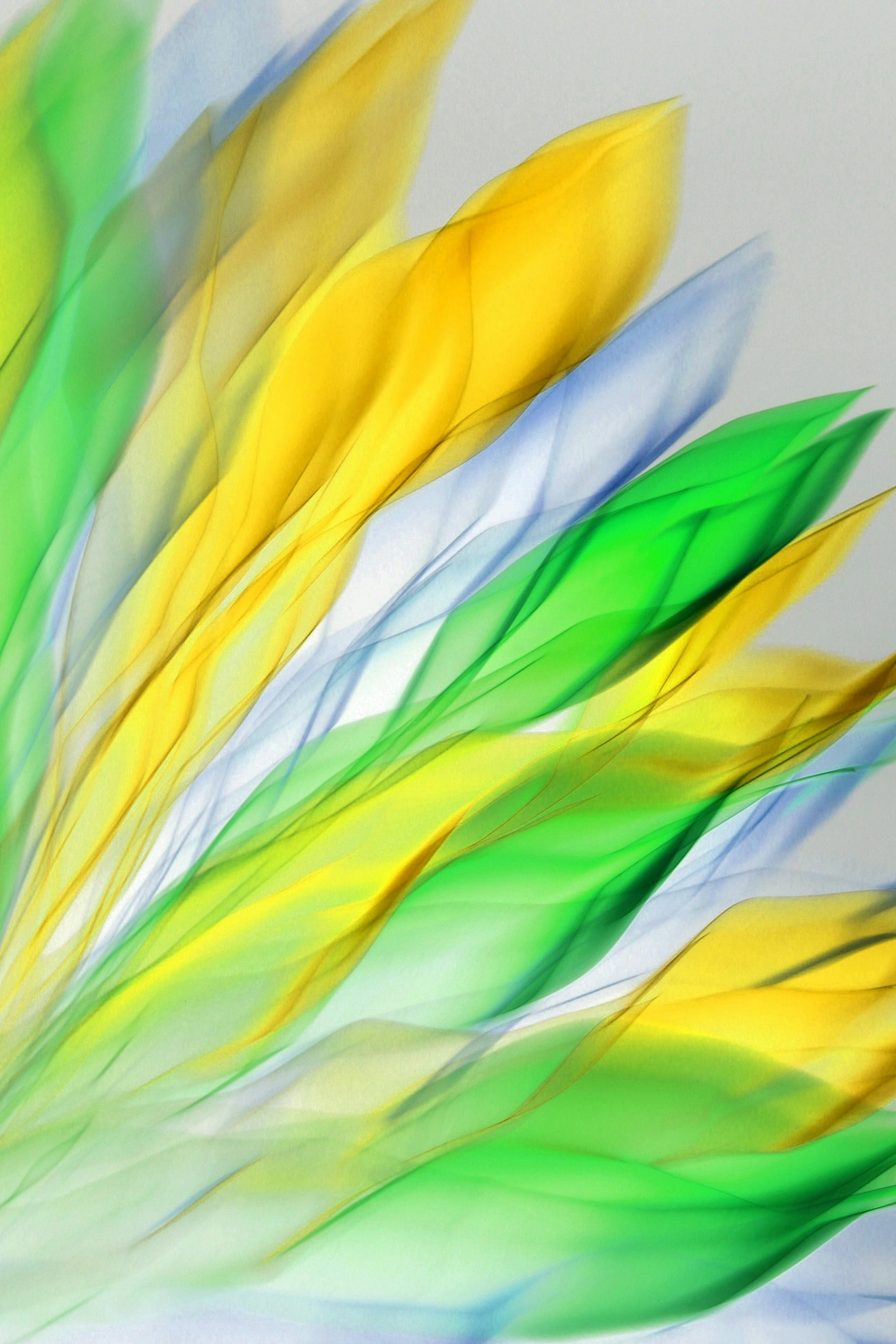 Vibrant Abstract Feather-Like Design in Motion · Free Stock Photo