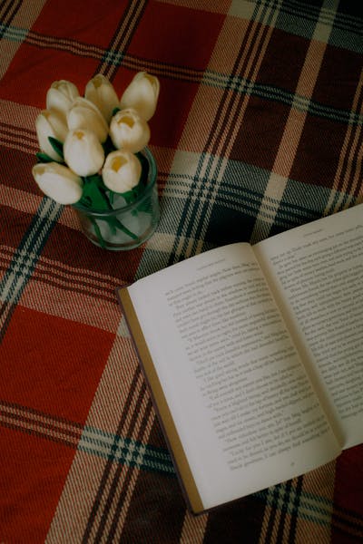 Plaid Photos, Download The BEST Free Plaid Stock Photos & HD Images