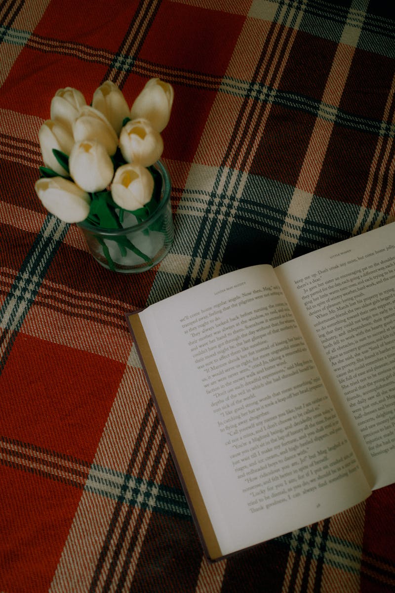 Book Aesthetic Photos, Download The BEST Free Book Aesthetic Stock ...