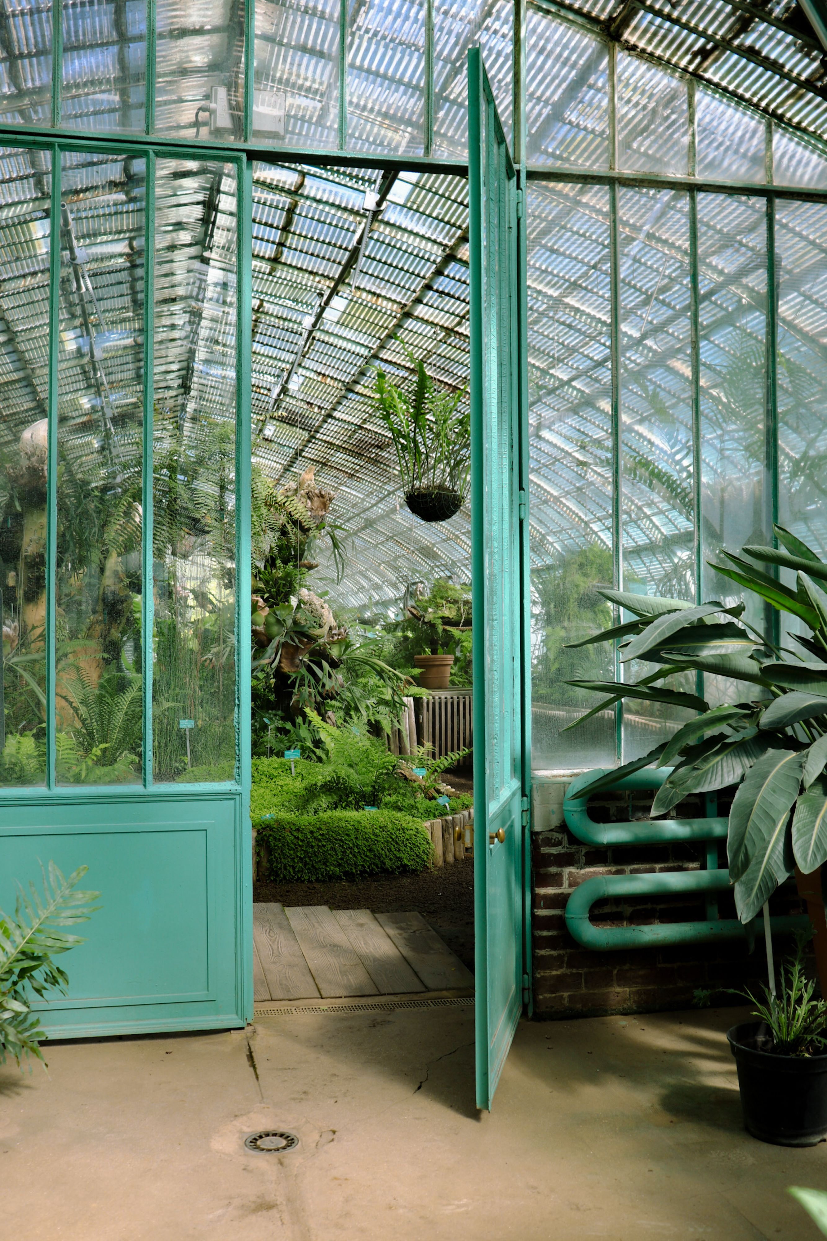 Lush Greenhouse Entrance in Paris, France · Free Stock Photo