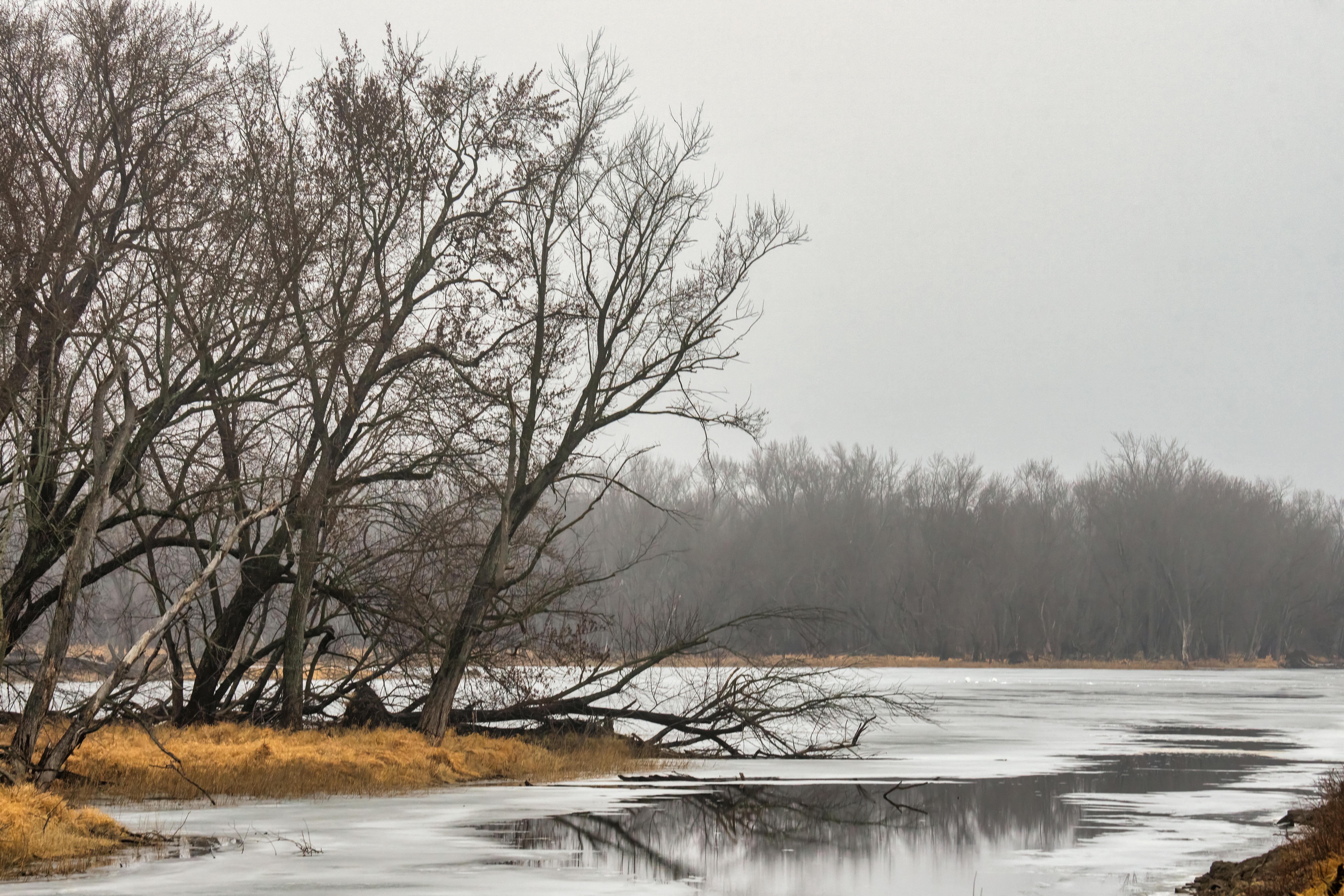 Nelson Staffing Photos, Download The BEST Free Nelson Staffing Stock ...