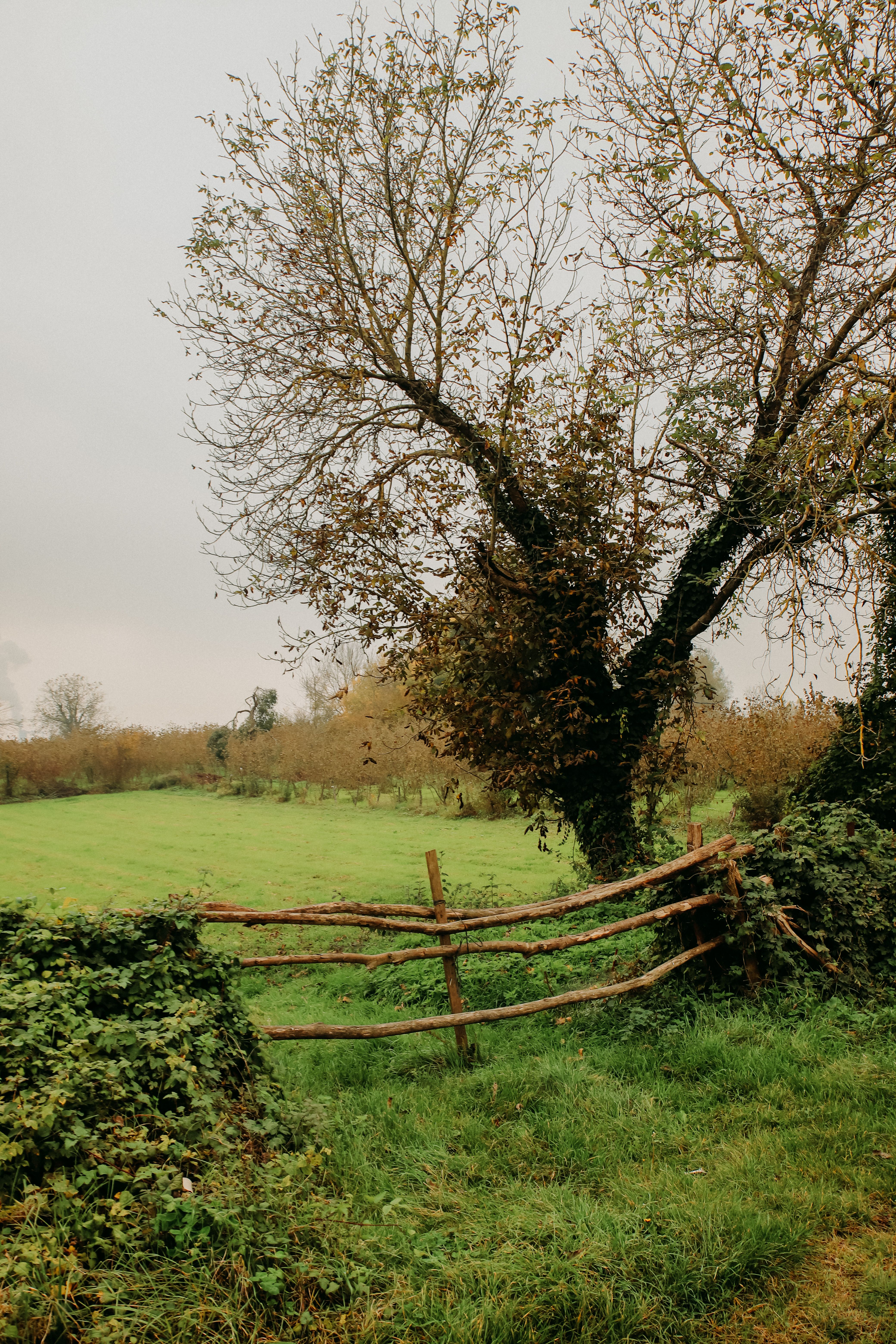 Rustic Wooden Fence in Bucolic Autumn Landscape · Free Stock Photo