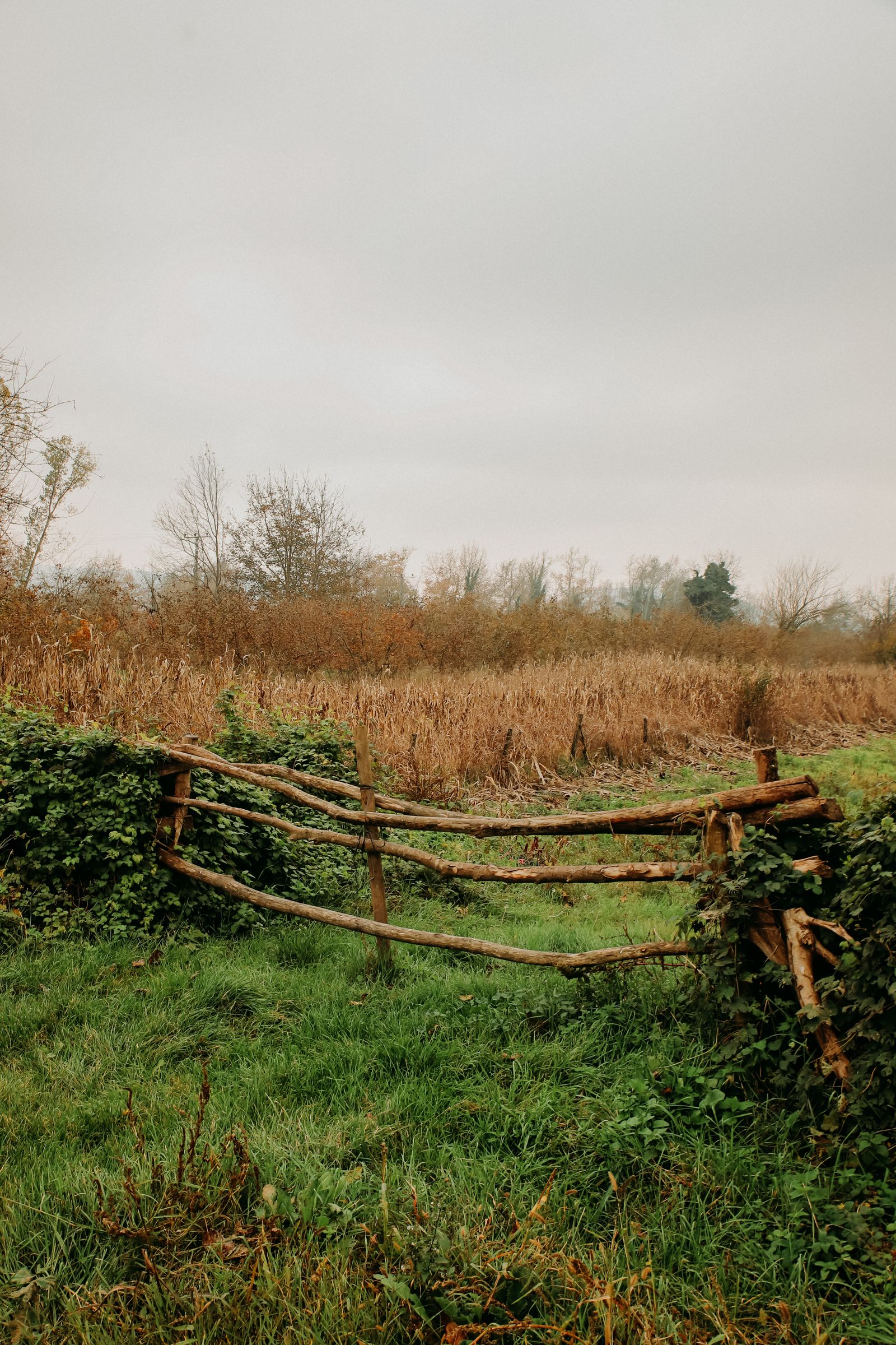 Wooden Fence Photos, Download The BEST Free Wooden Fence Stock Photos ...