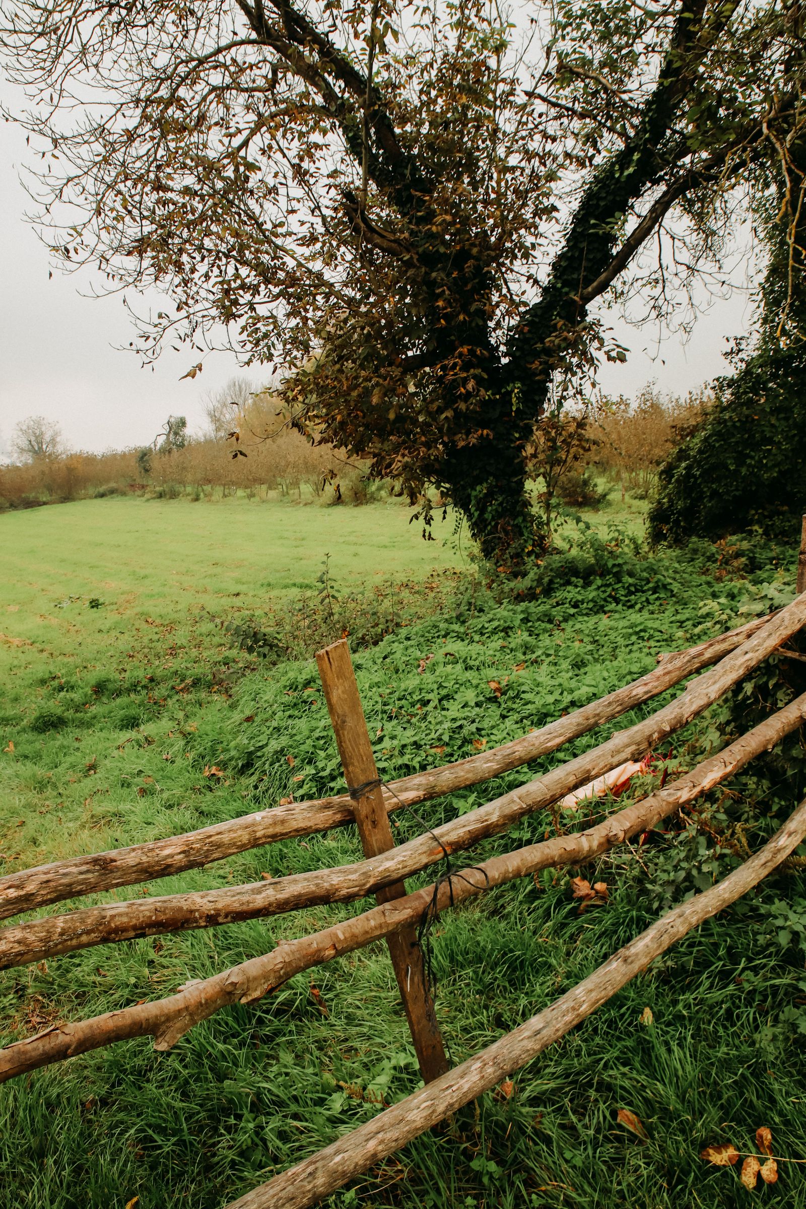Wooden Fence Photos, Download The BEST Free Wooden Fence Stock Photos ...