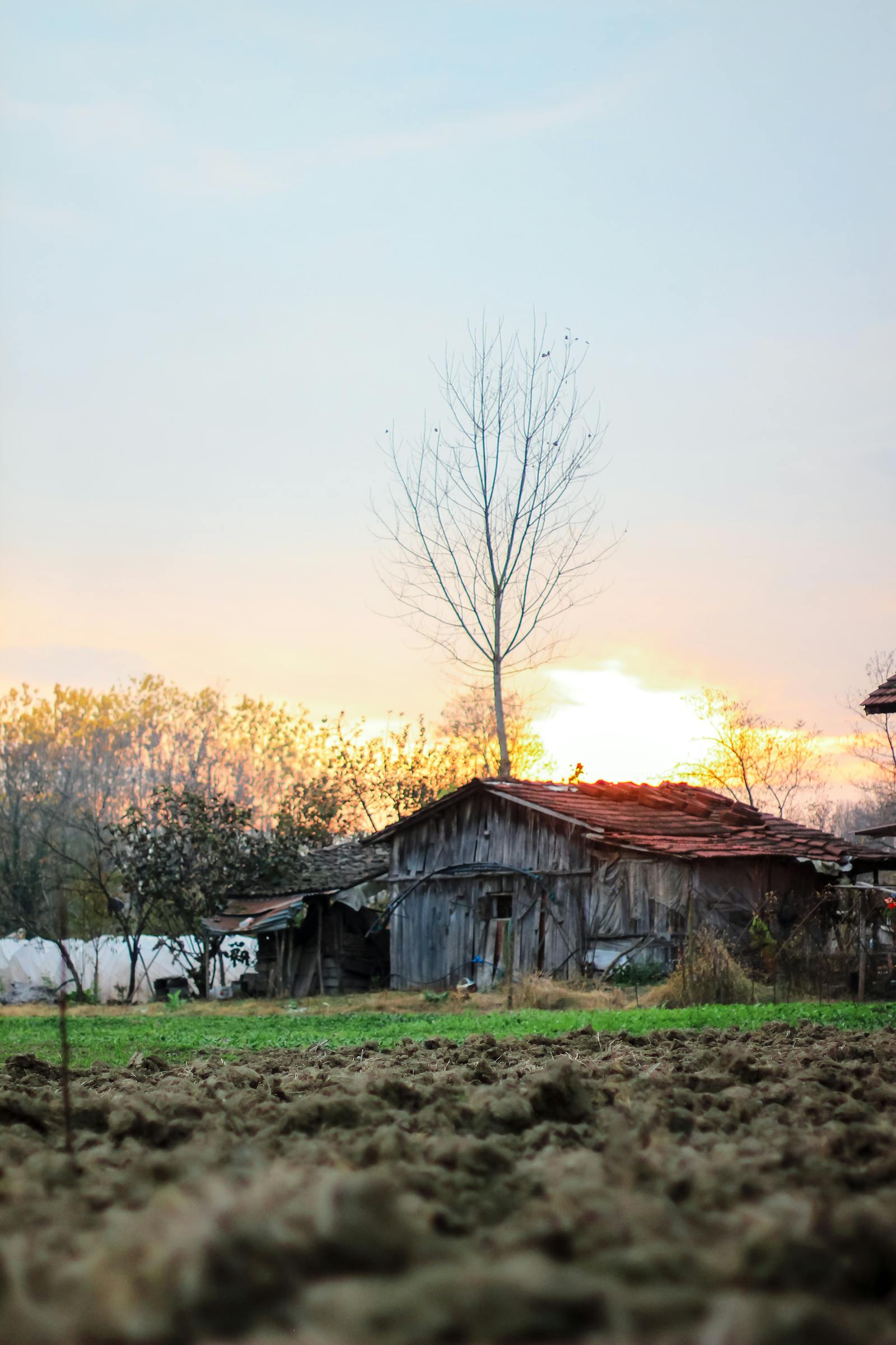 Rustic Wood Photos, Download The BEST Free Rustic Wood Stock Photos ...