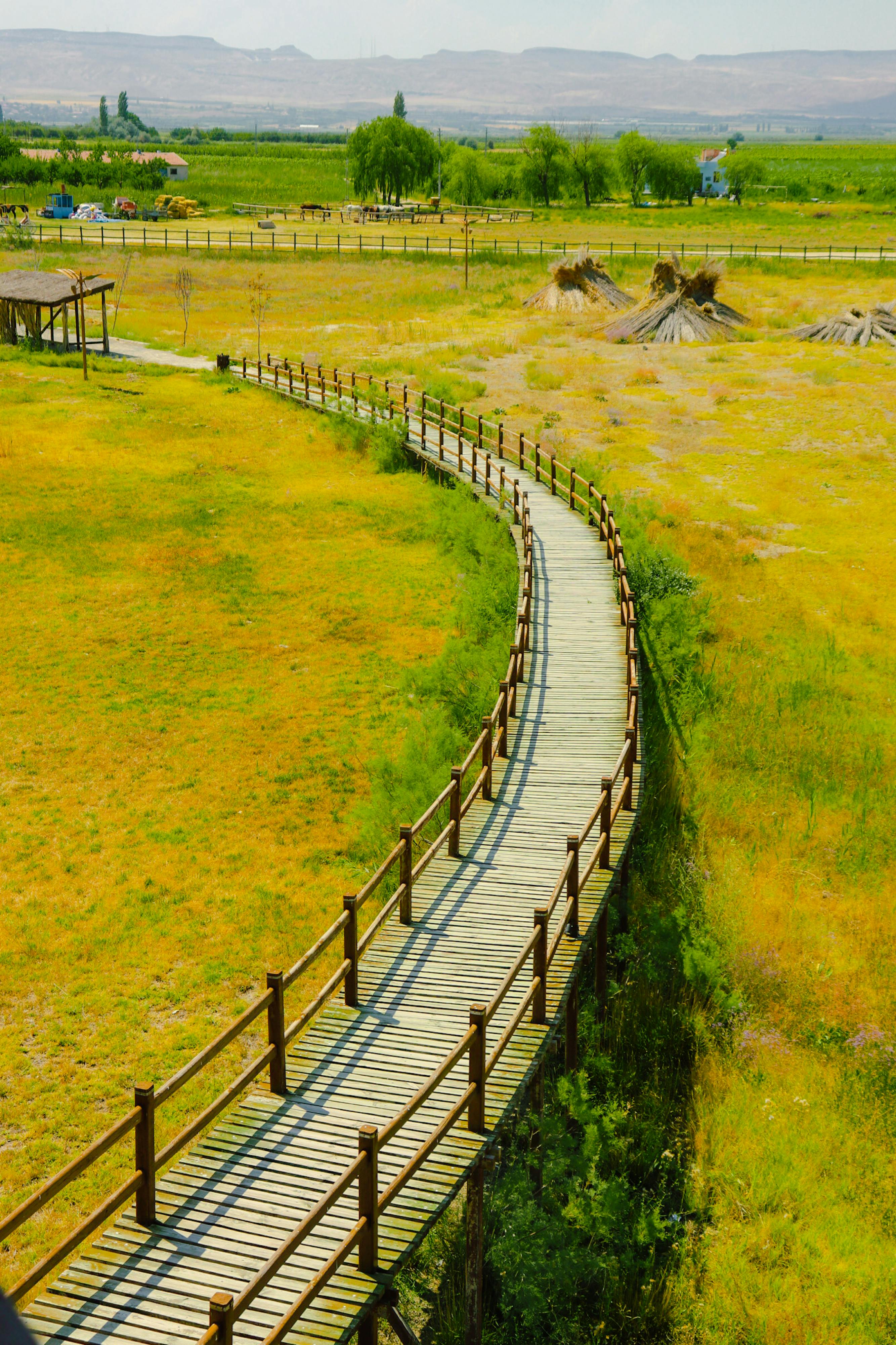 Ecological Path Photos, Download The BEST Free Ecological Path Stock ...