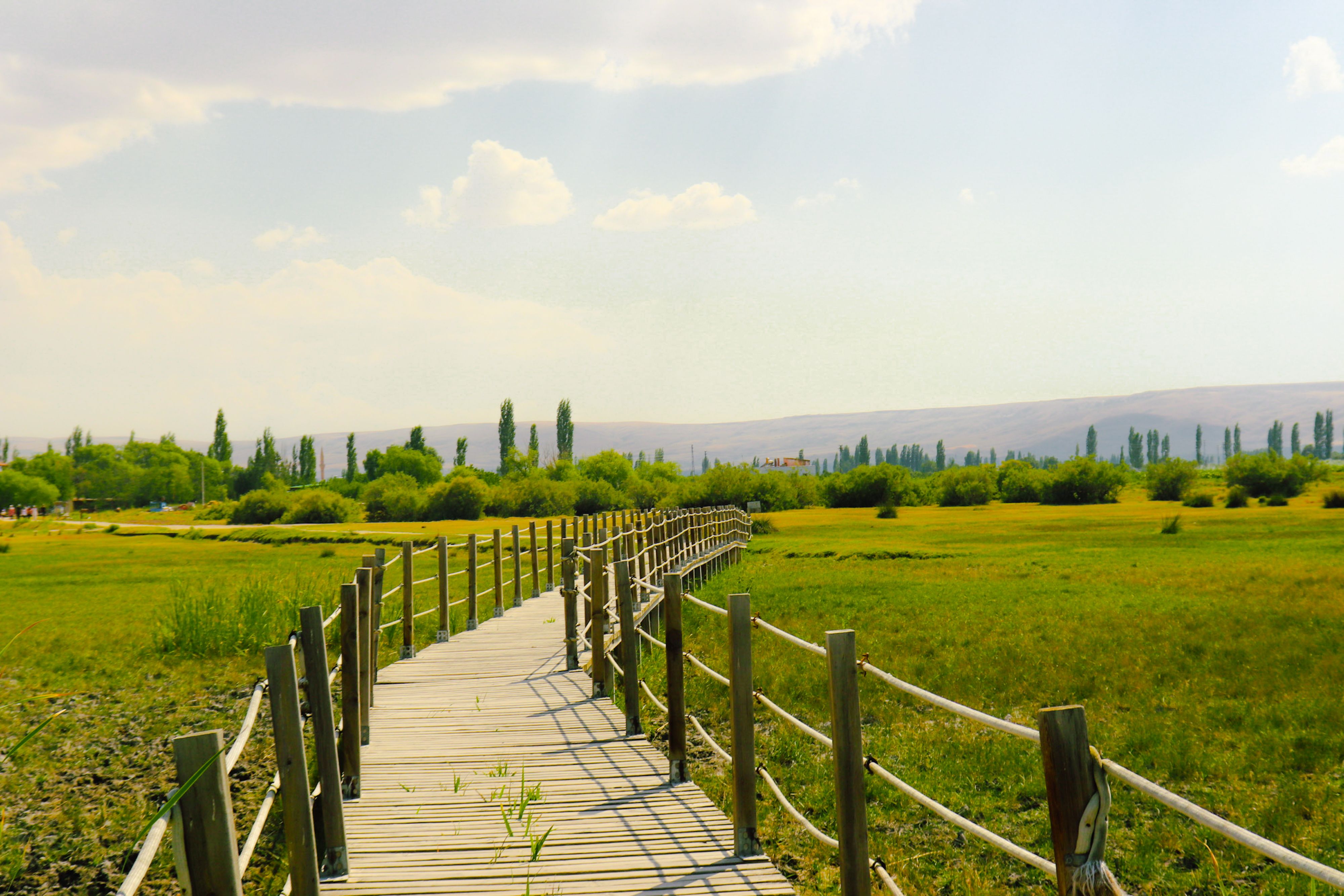 Scenic Wooden Pathway in Türkiye Countryside · Free Stock Photo