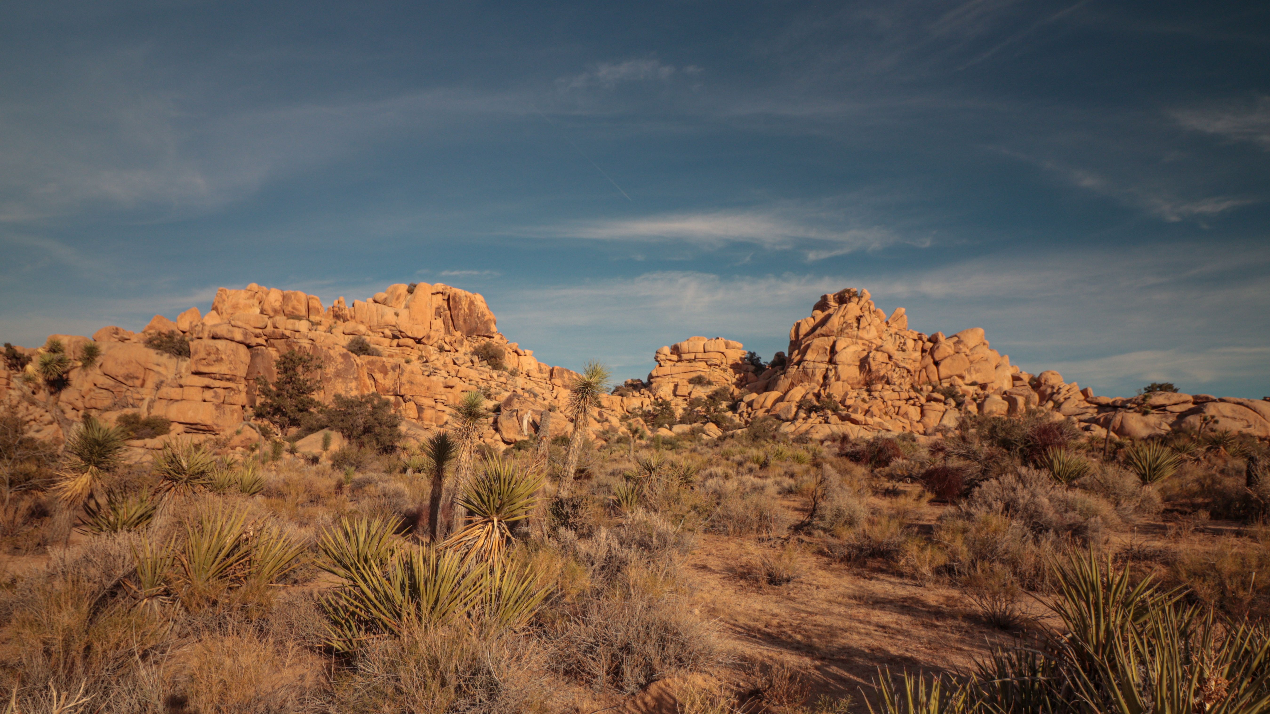 Southwestern Usa Photos, Download The BEST Free Southwestern Usa Stock ...
