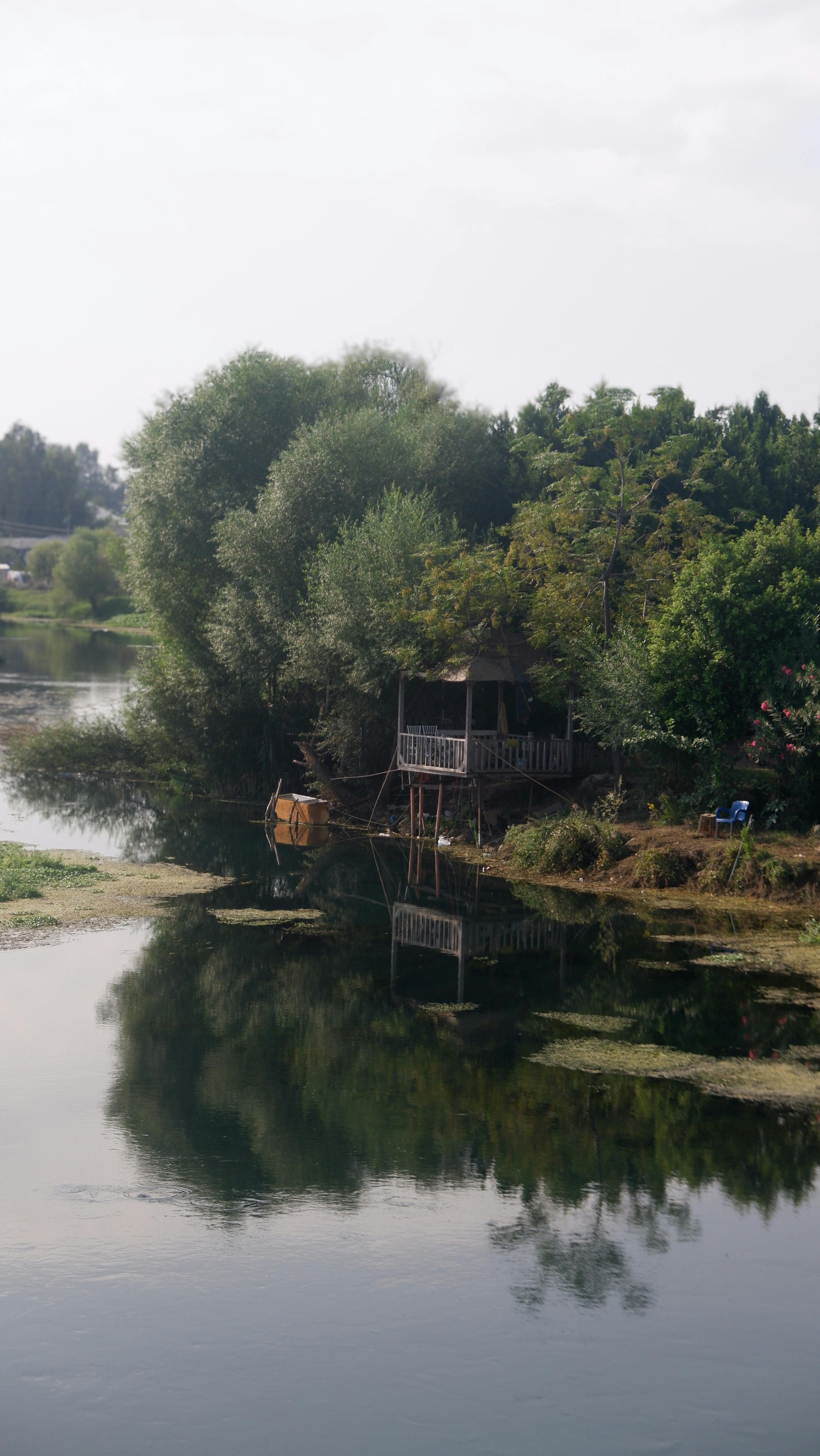 Serene Riverside Treehouse with Lake Reflection · Free Stock Photo