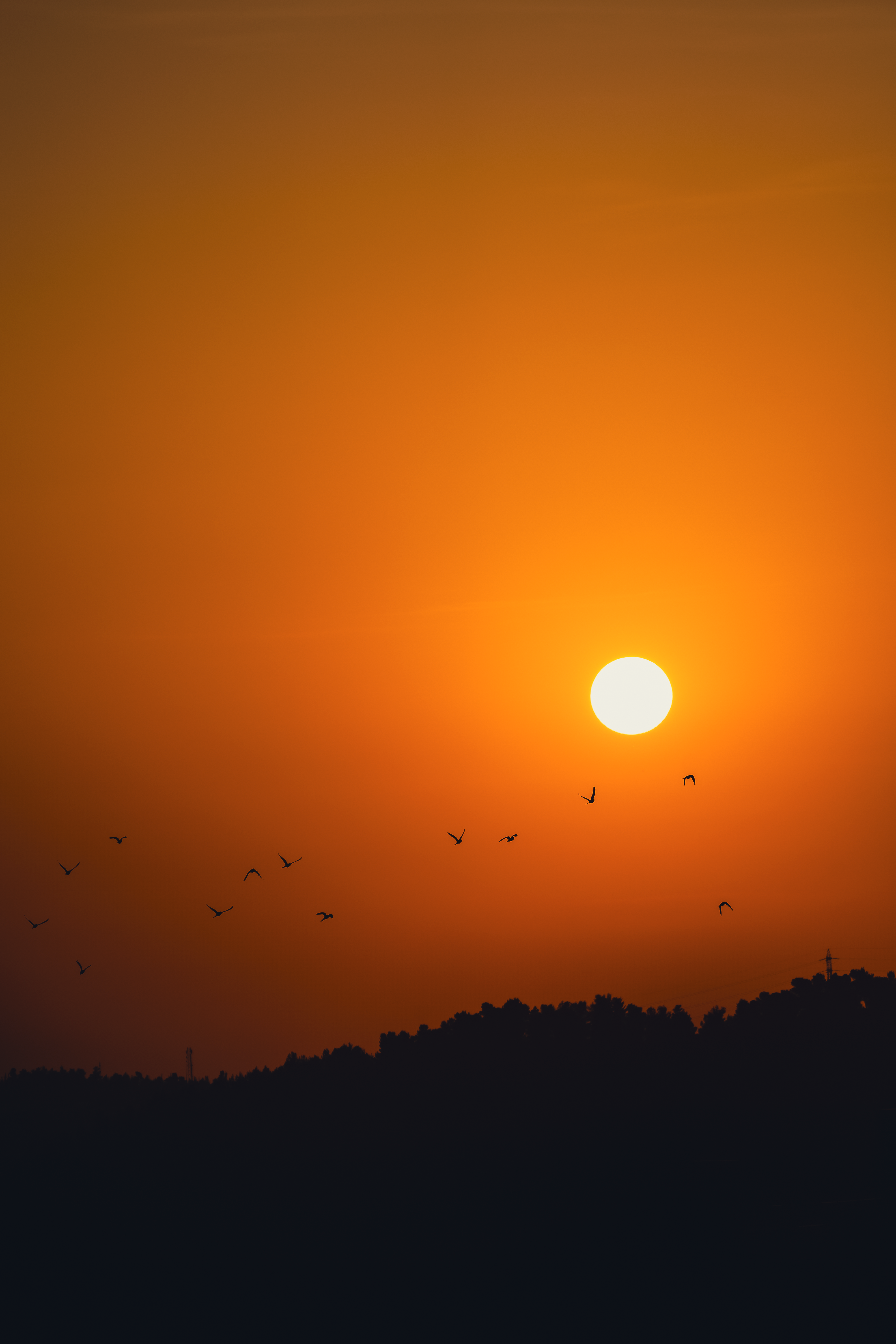 Dramatic Sunset Over Jerusalem Sky with Birds · Free Stock Photo