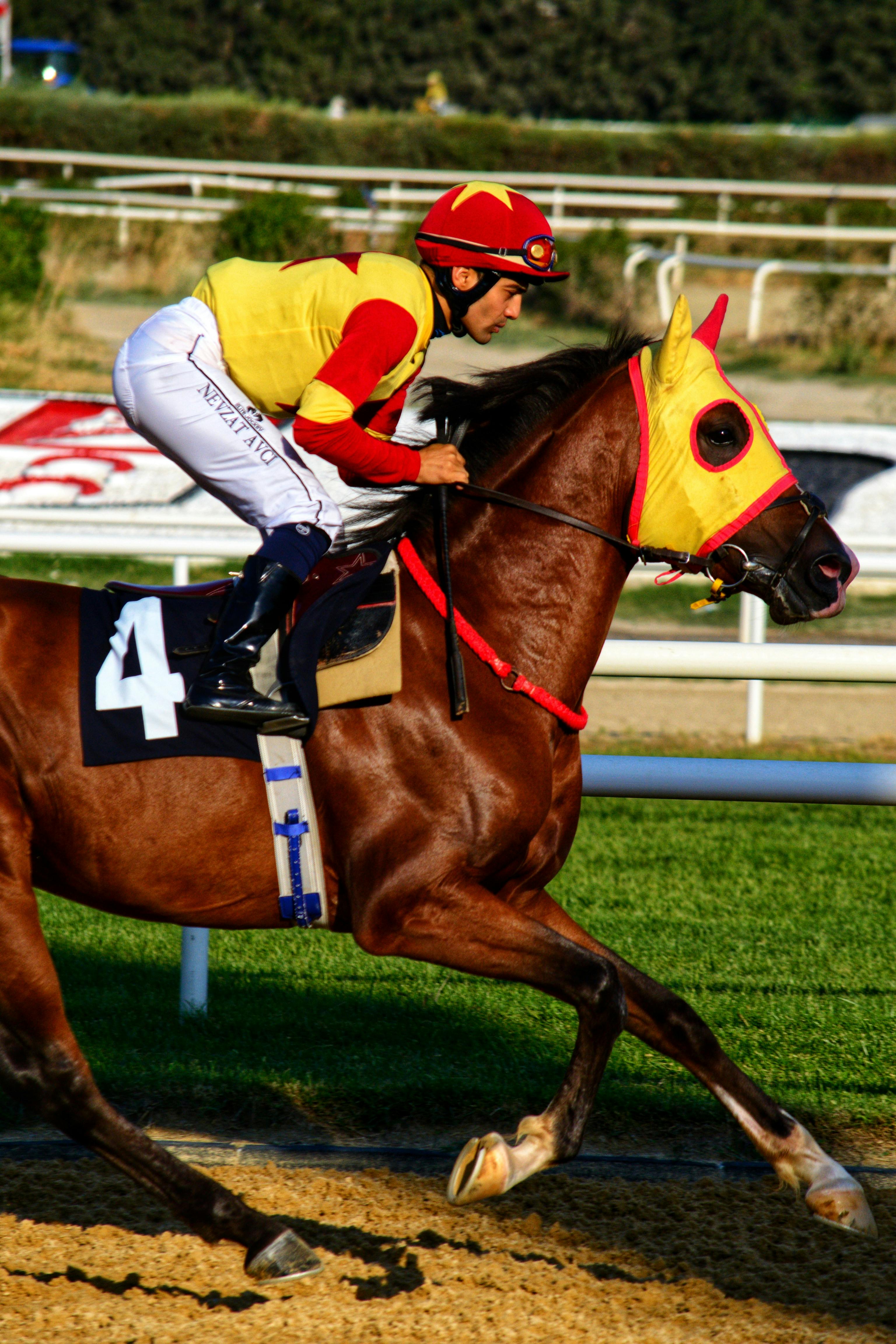 Dynamic Horse Racing Scene with Jockey · Free Stock Photo