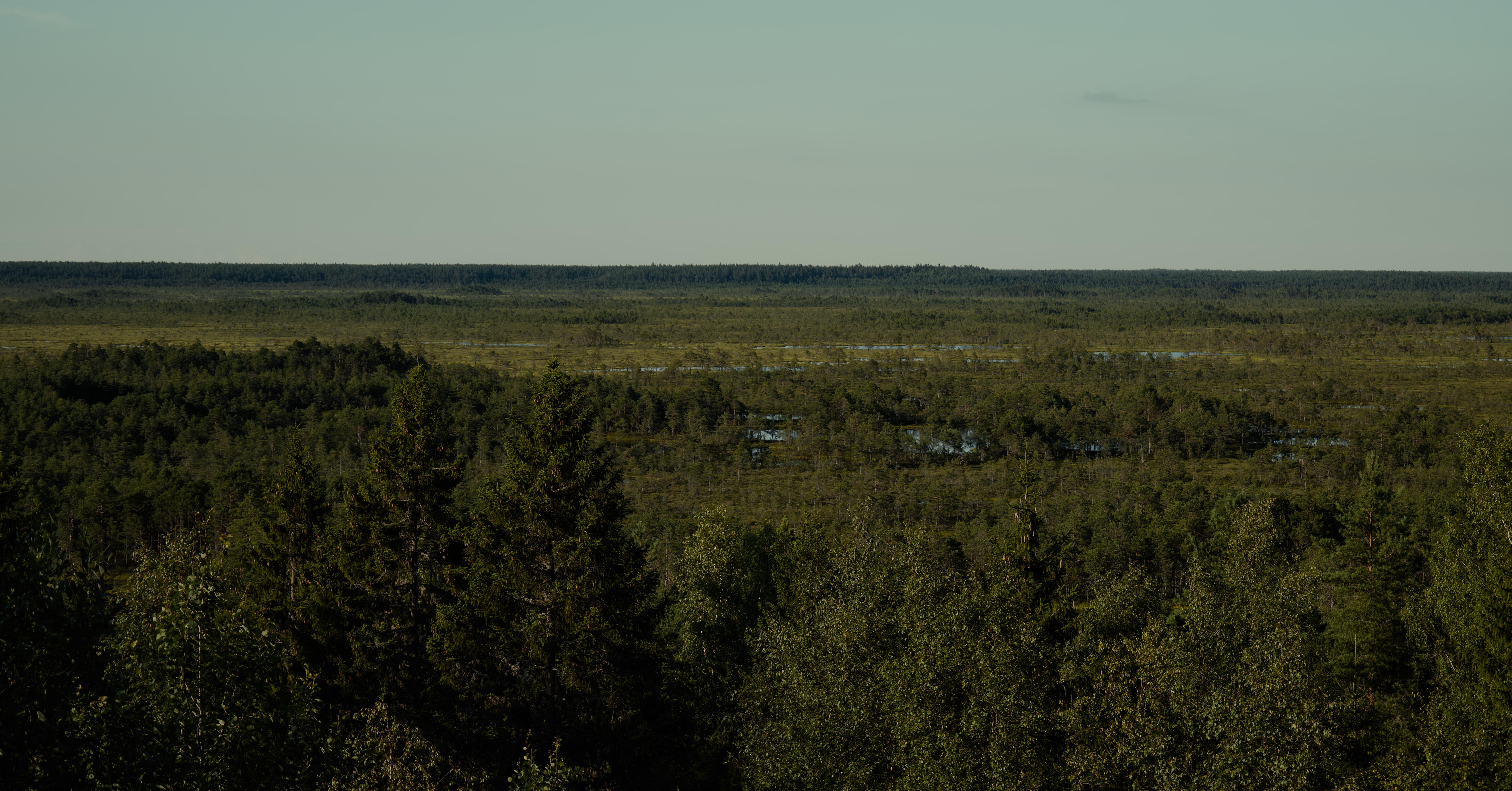 Biome More Photos, Download The BEST Free Biome More Stock Photos & HD ...