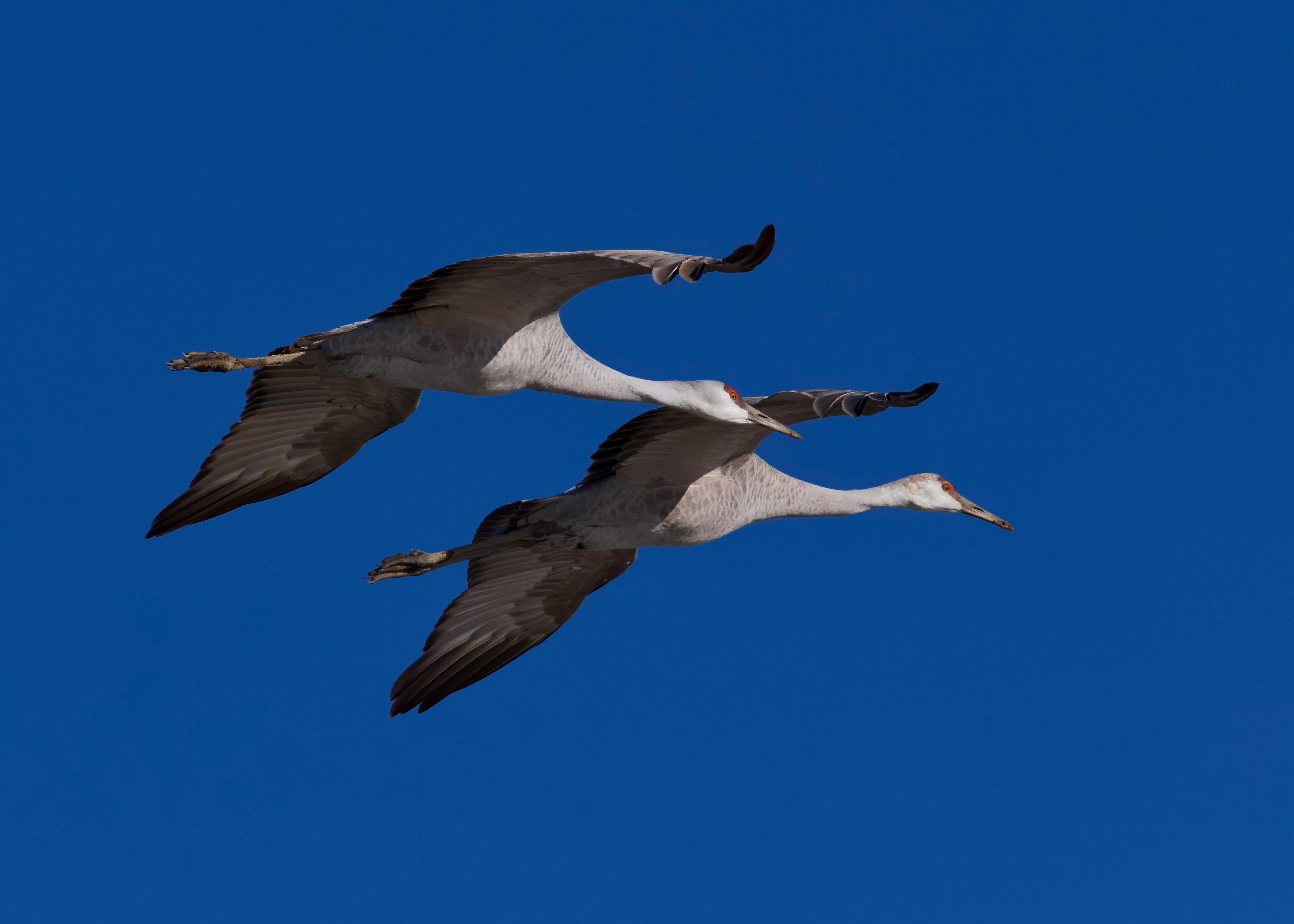 Regular Rhythm In Nature Photos, Download The BEST Free Regular Rhythm ...