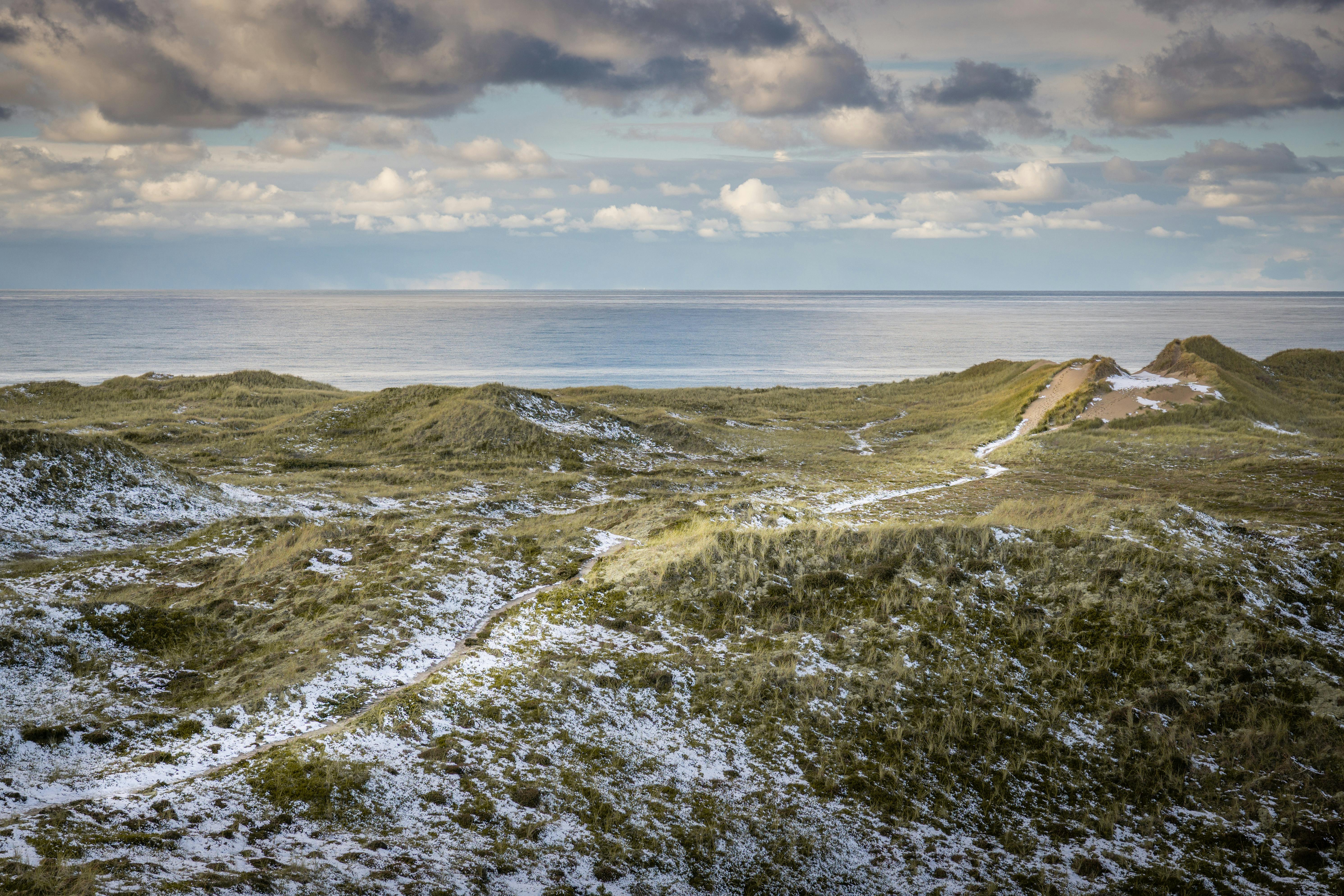 Scenic Winter Landscape in Agger Denmark · Free Stock Photo
