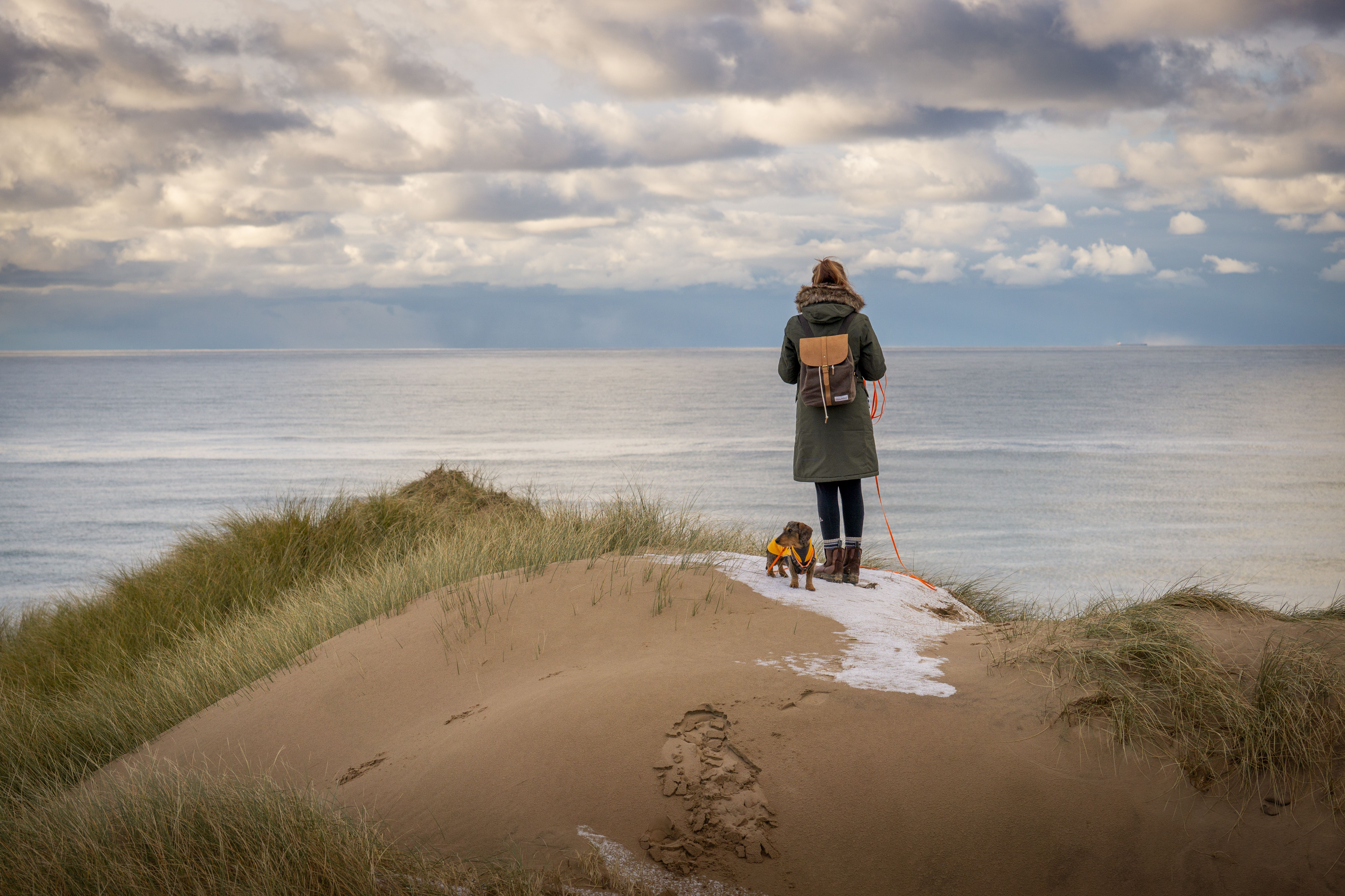 Woman and Dog on Scenic Danish Beach Dunes · Free Stock Photo