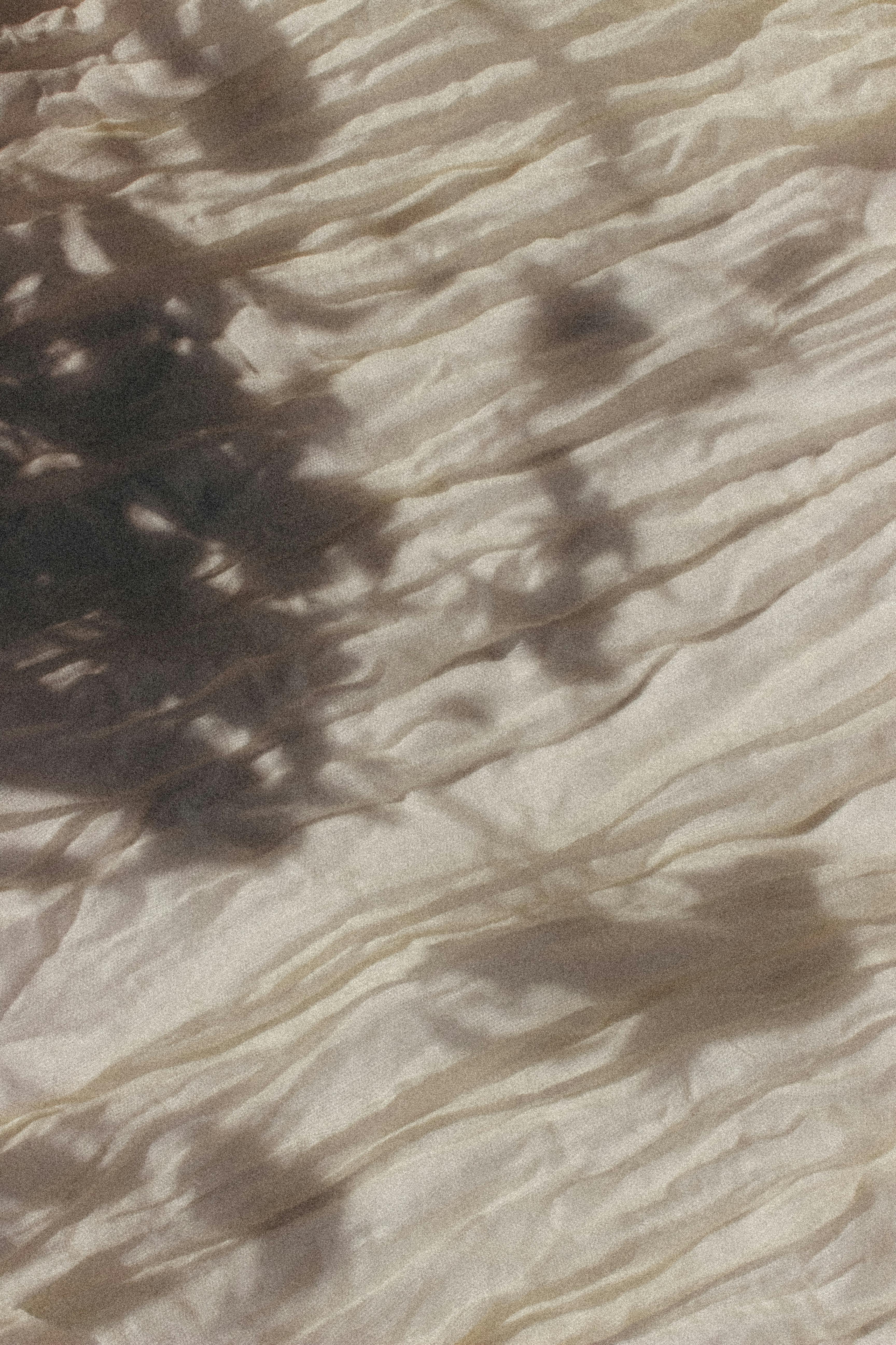 Artistic Shadow of Leaves on Textured Fabric · Free Stock Photo