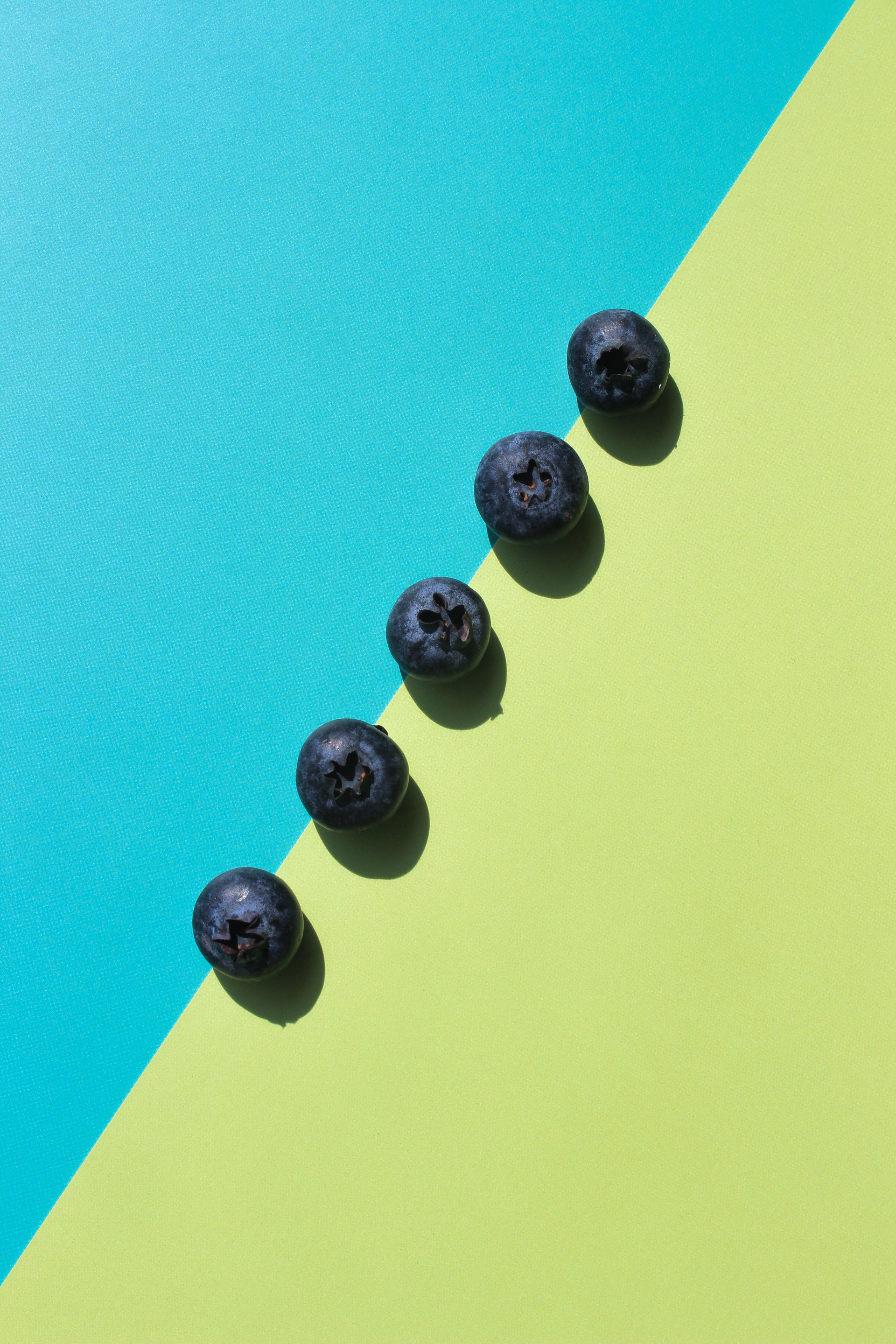 Minimalist Blueberries on Vibrant Background · Free Stock Photo